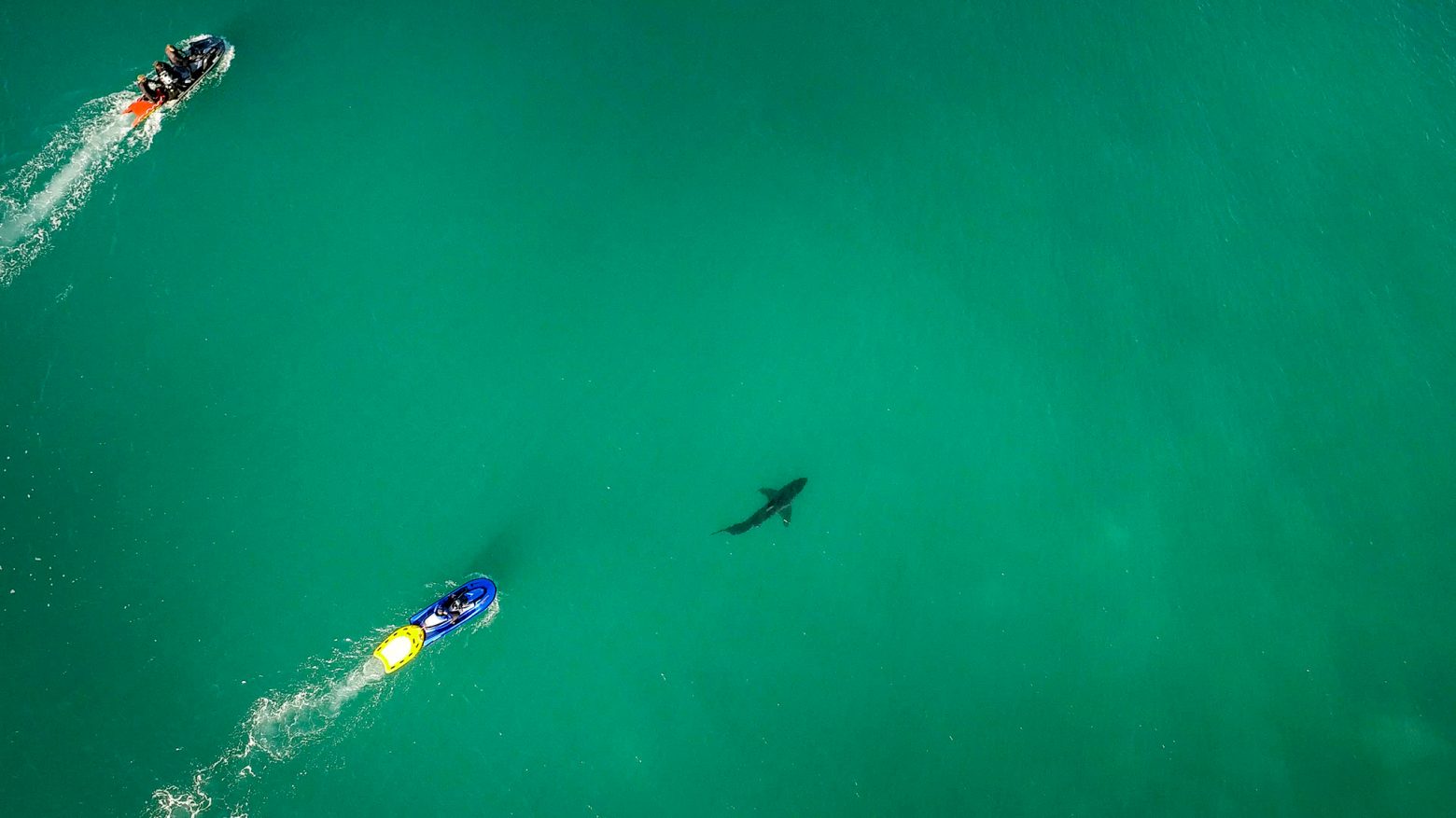 More Perfect Tens, More Pumping Surf, More Sharks at Corona J-Bay Open