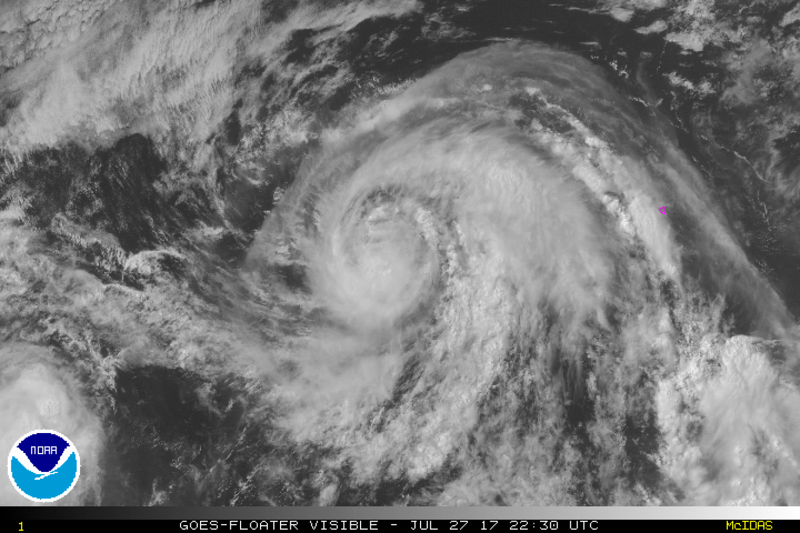 Hilary and Irwin Still Hanging On