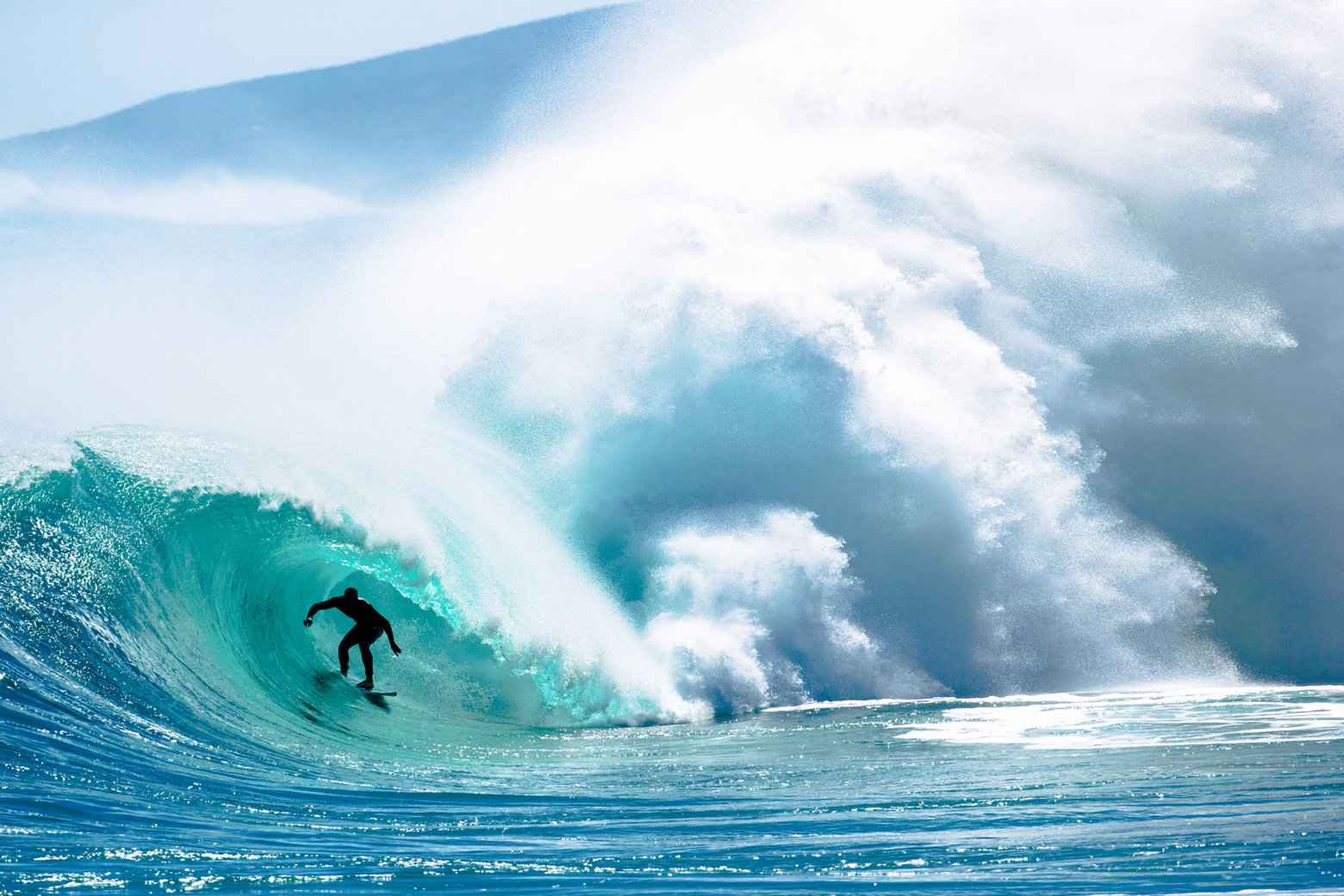 Exclusive: Mikey Wright Stars in Root