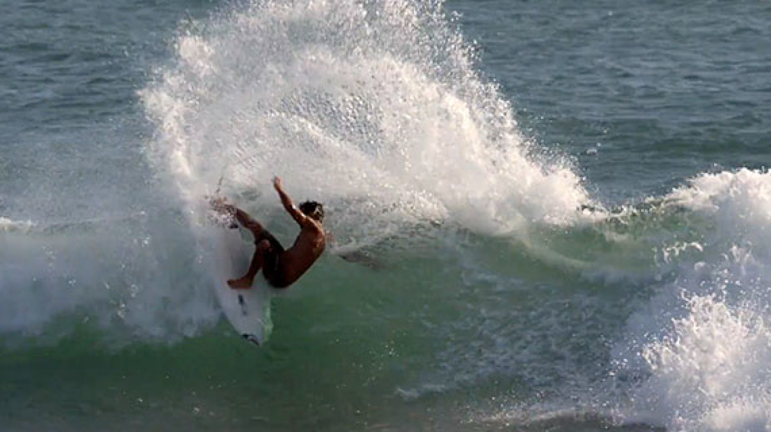 Snake Gets Poached at Lowers!