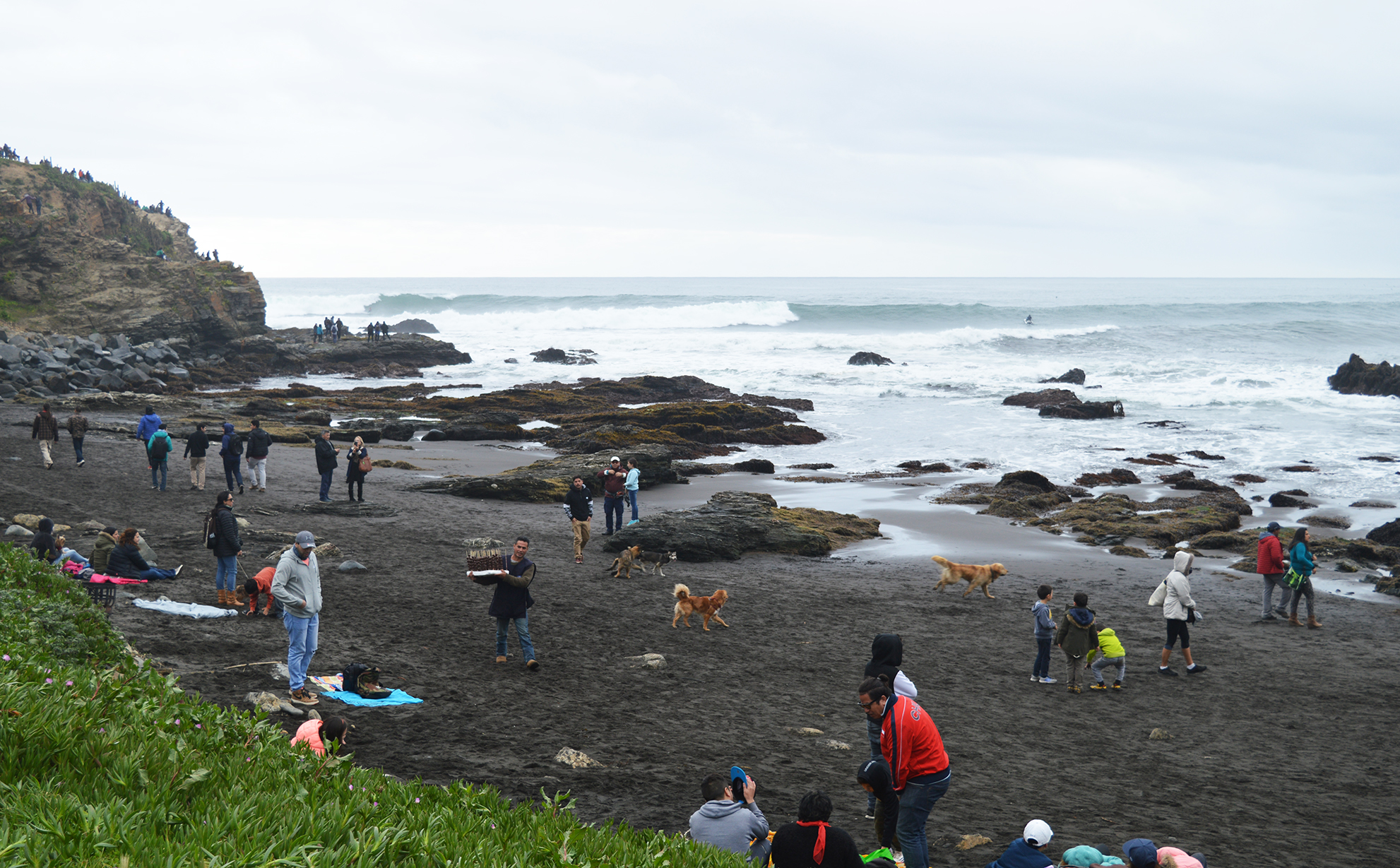 Punta de Lobos protegida para siempre