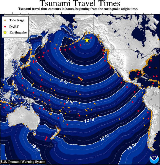 Is a Tsunami Coming or Not? Understanding the Tsunami Warning System