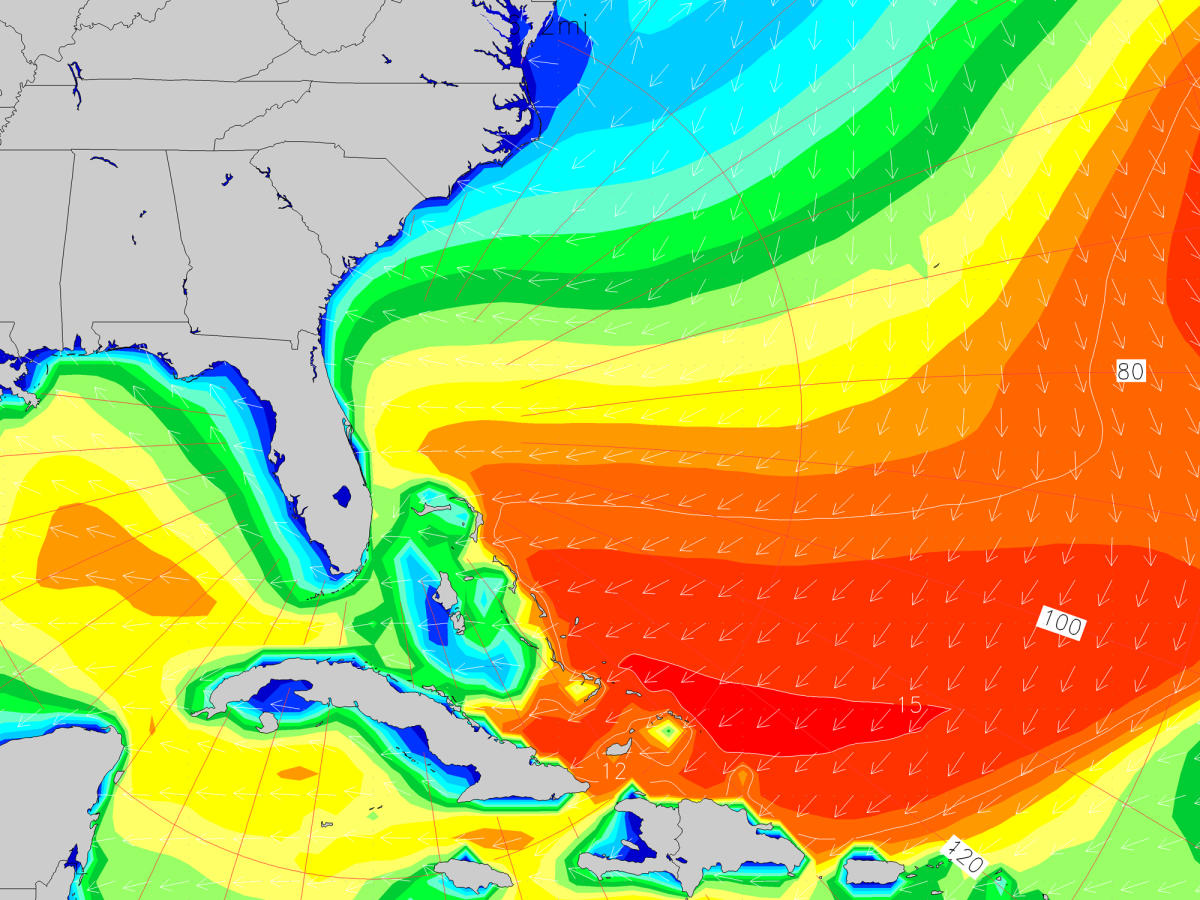 This Week In Waves for January 25th