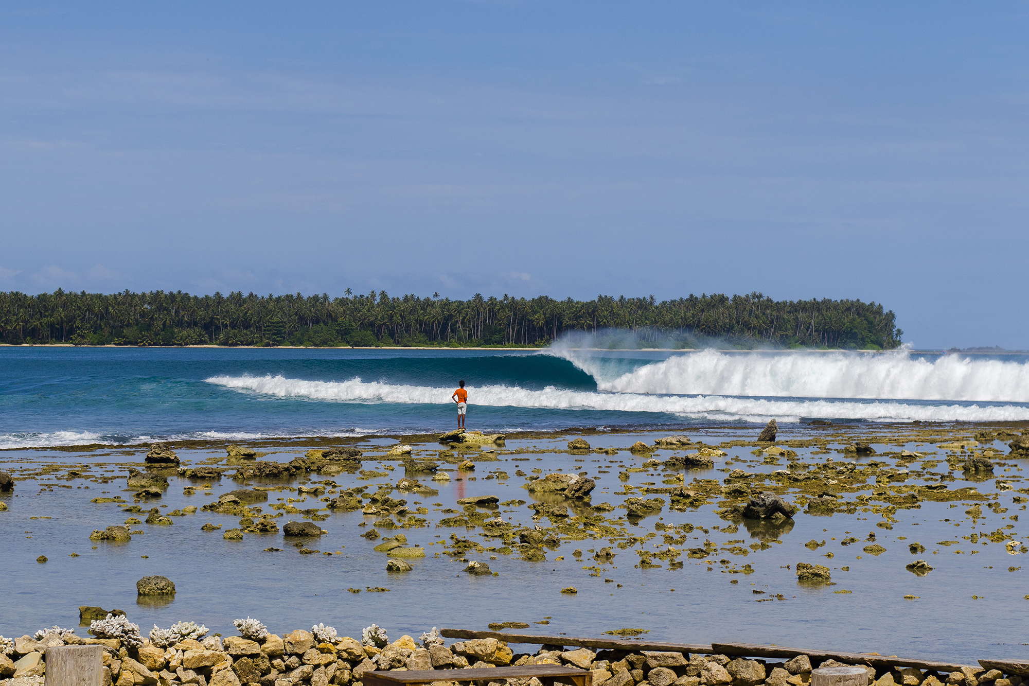 Local Pro: Damian Davila
