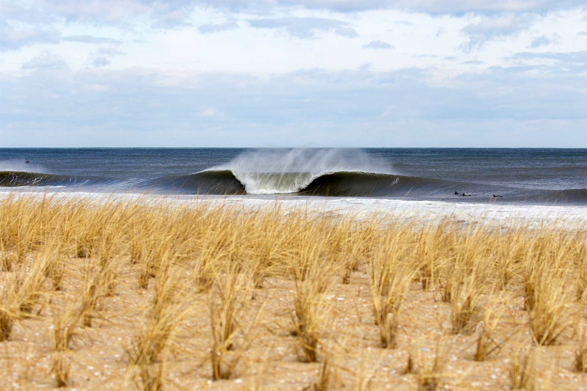 Ocean Beach: Surf News, Videos & Photos at Surfline