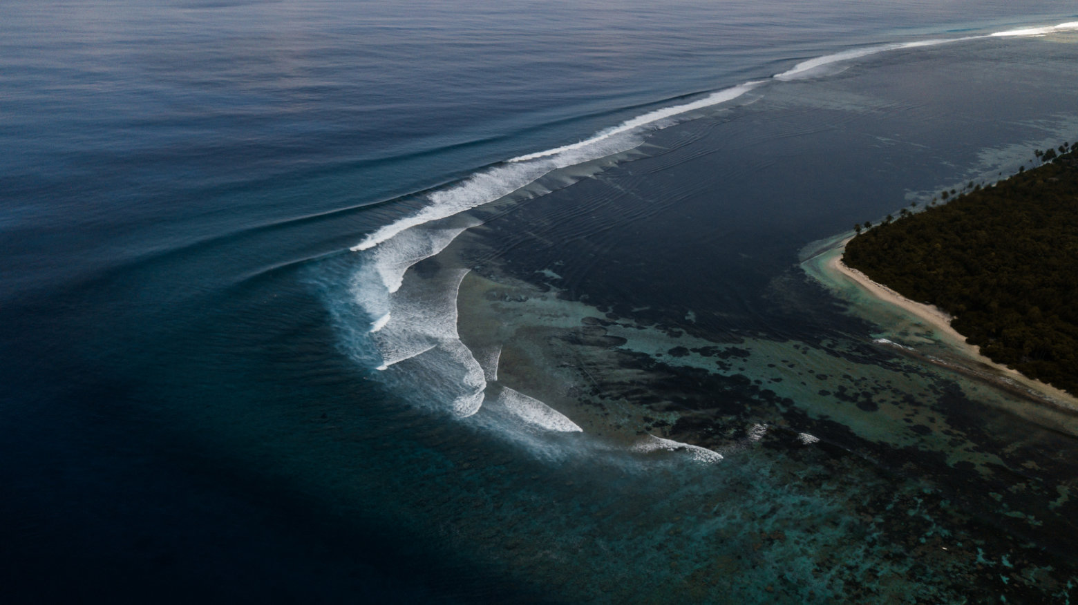 Announcing: New Human Forecasts for the Maldives To Break Down Swell ...