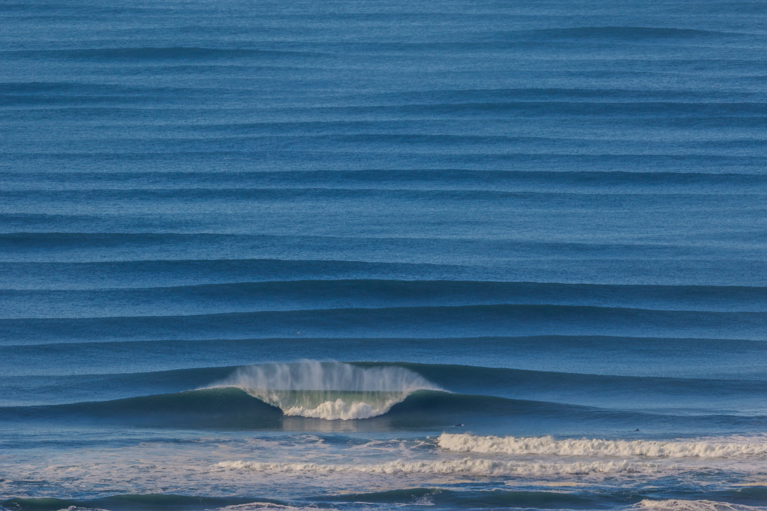 Ask an Expert: Which Fins Work Best? (Part II)