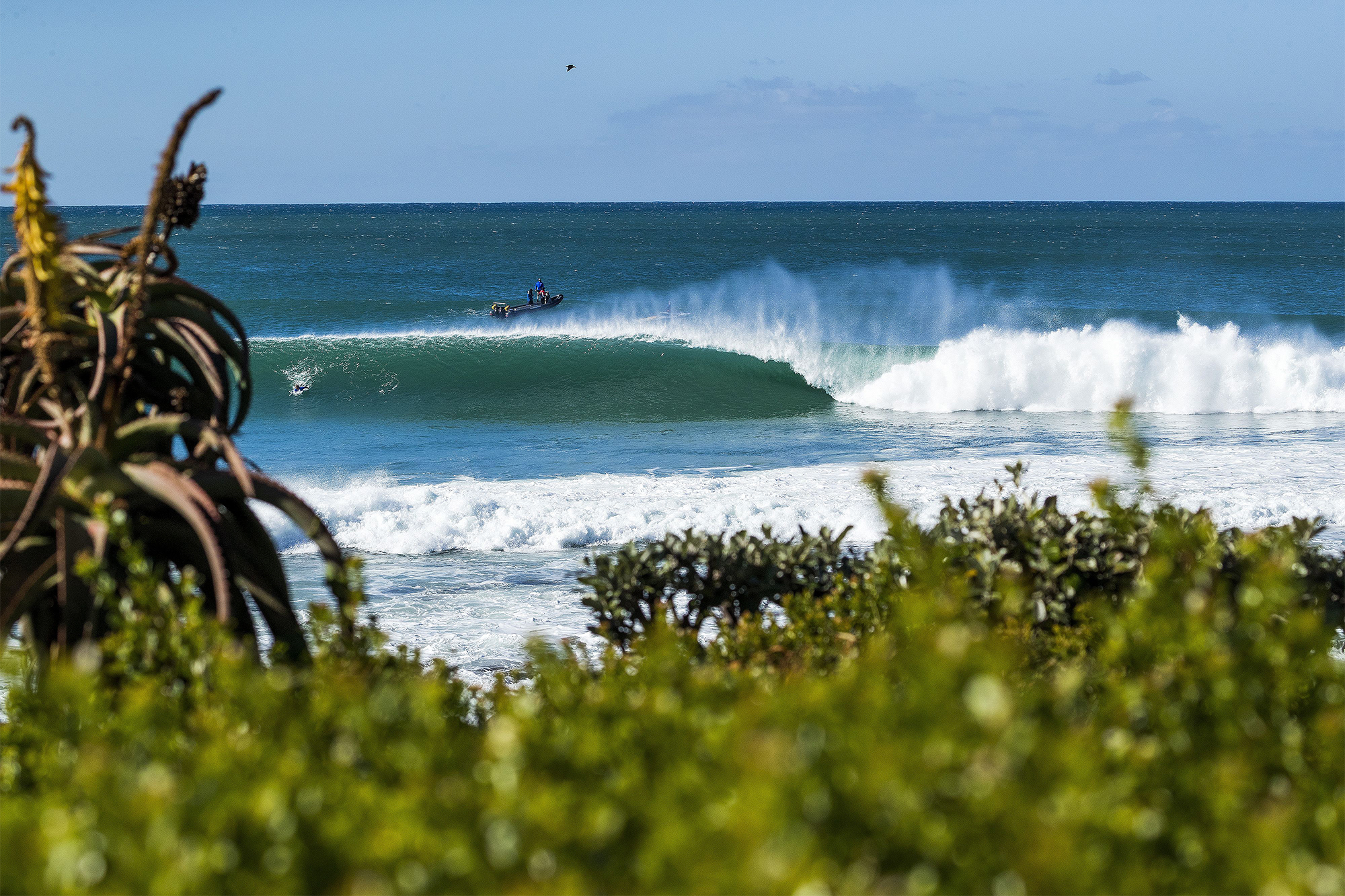 Four Things to Expect at the Corona J-Bay Open