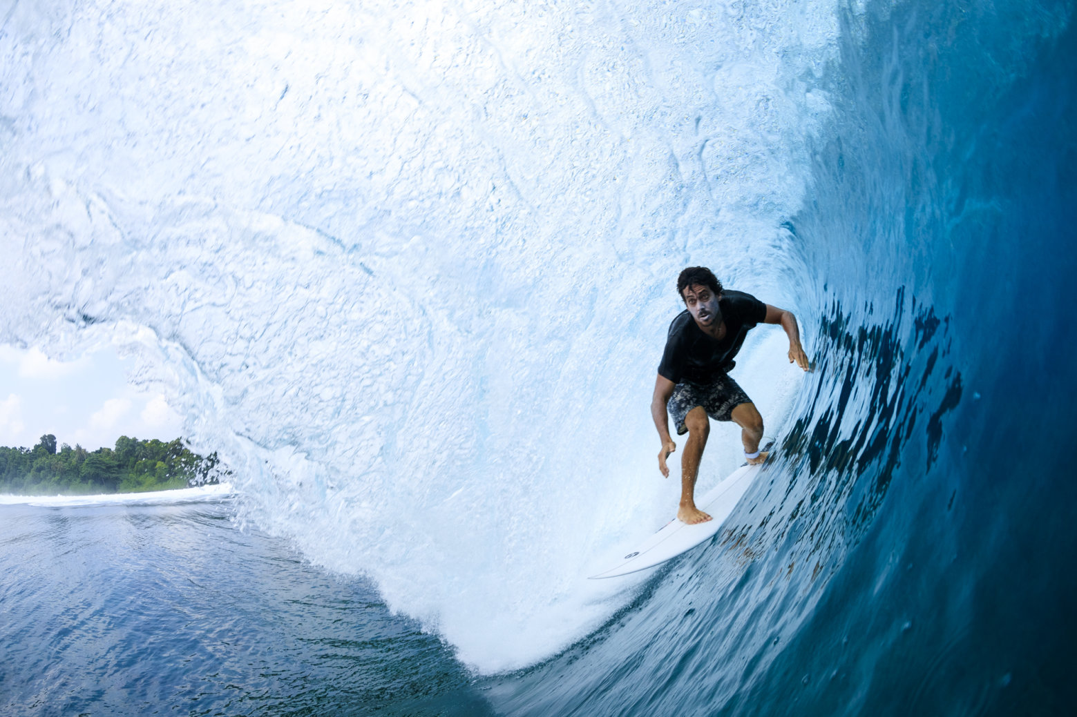 One Fine Boat Trip, With Seabass And Friends