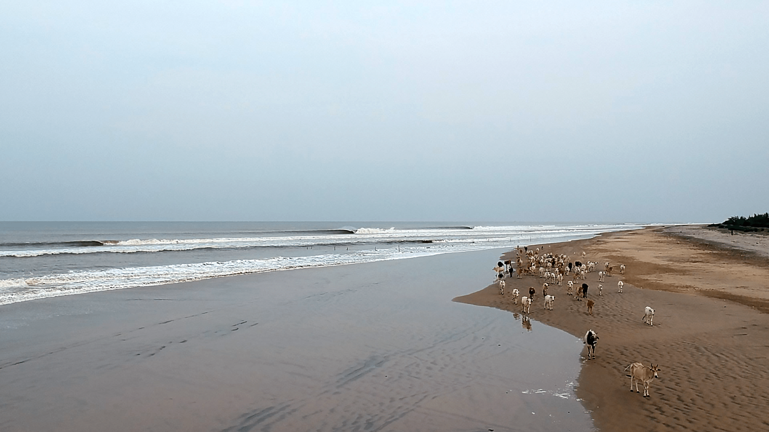 Return of the Secret Indian Ocean Sandbar