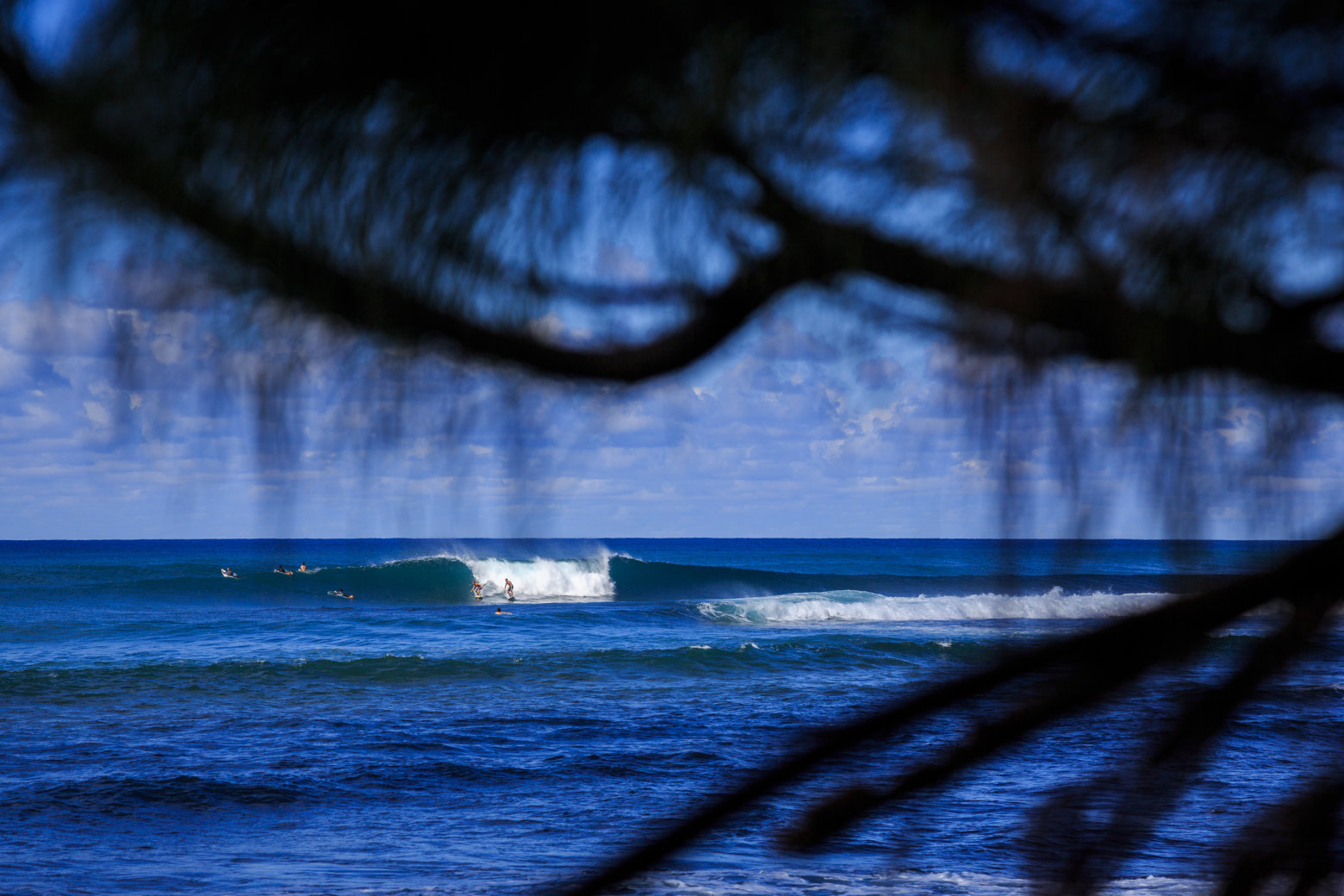 Spot Check: Velzyland Surfing Guide [with HD Photos and Video]