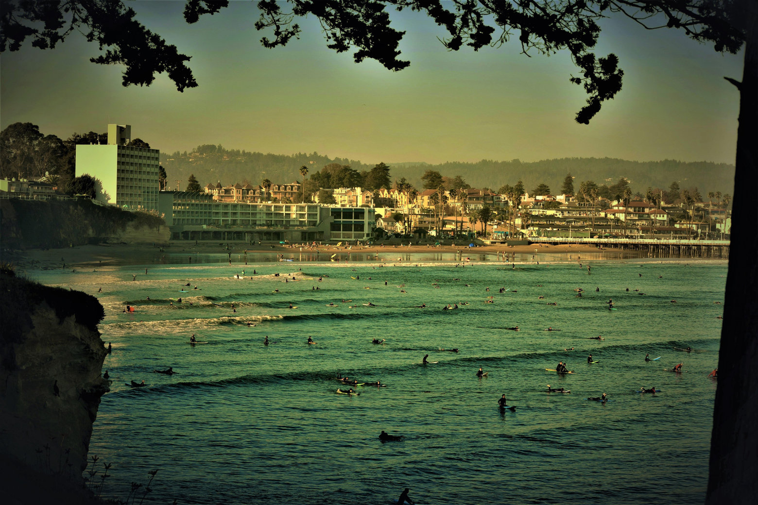 Spot Check: Cowell's Surfing Guide [with HD Photos and Video]