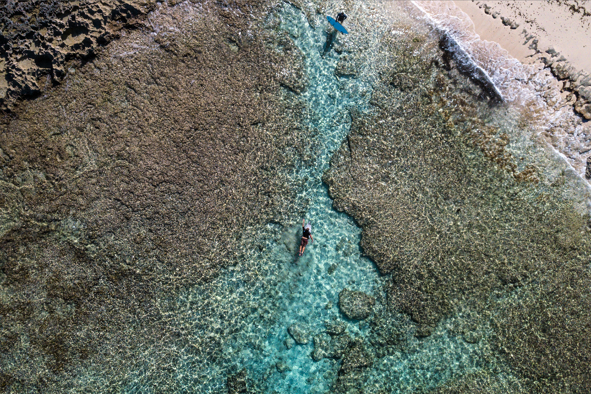 Discovery in the Bahamas