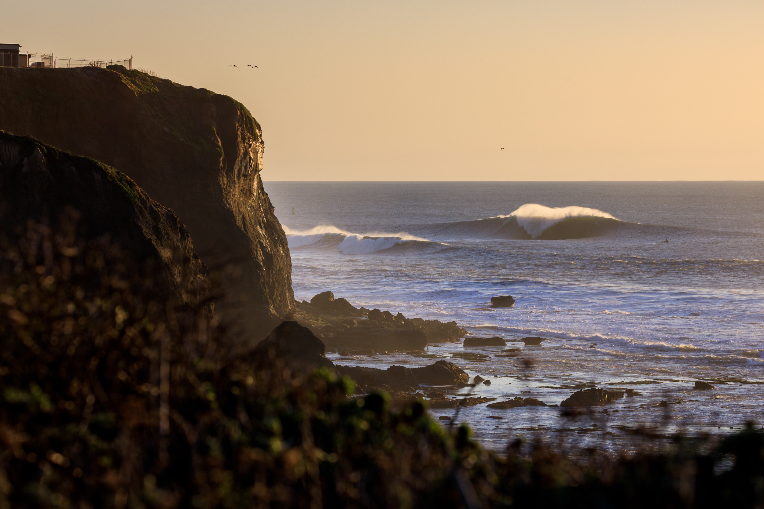 Spot Check: Maverick's Surfing Guide [with HD Photos and Video]
