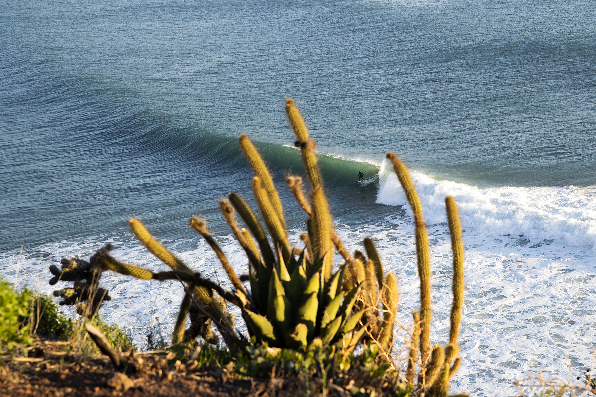 Big Wave Surfer Greg Long on Environmentalism, Global Surf Activism ...