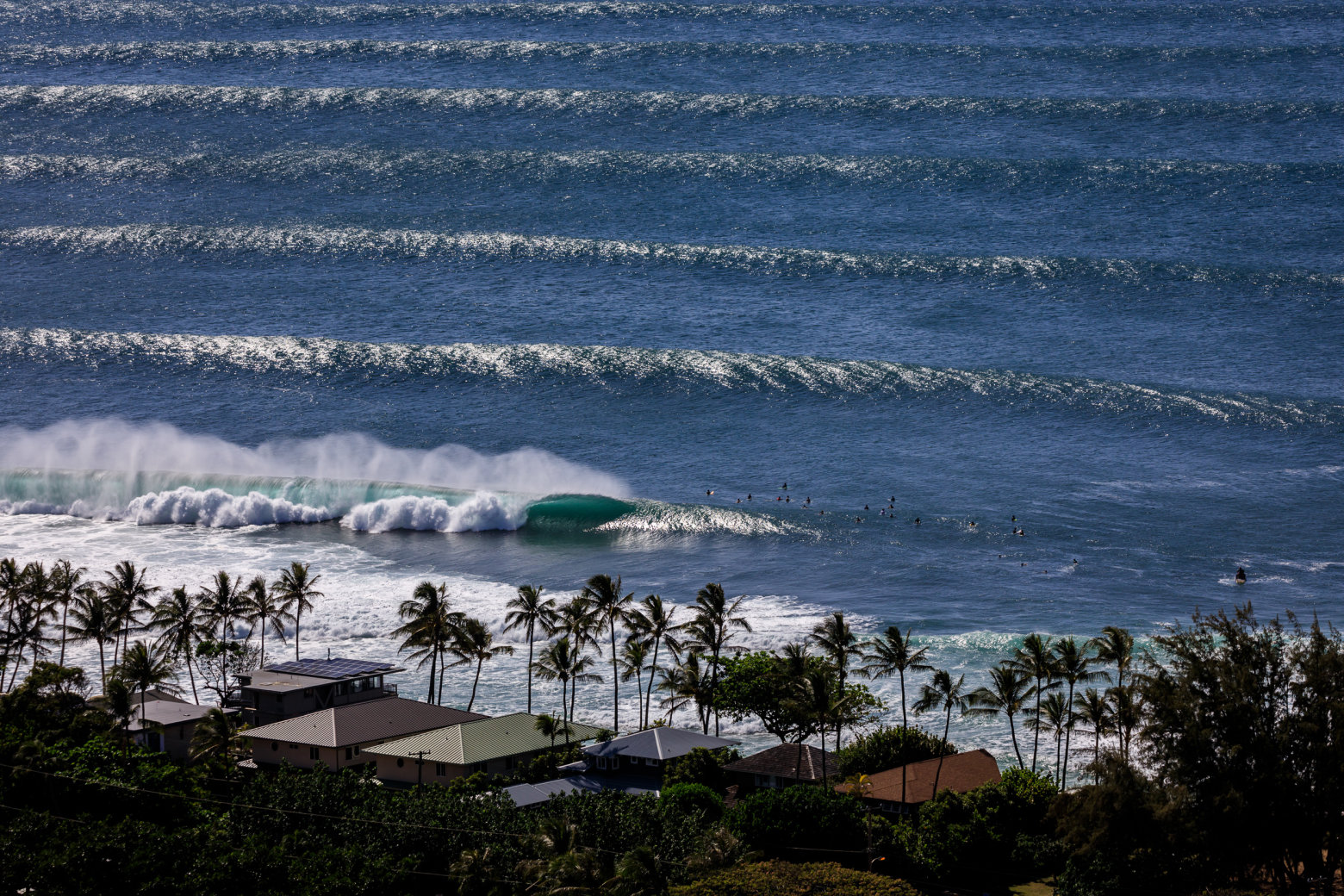Surfline to Broadcast Live from the North Shore