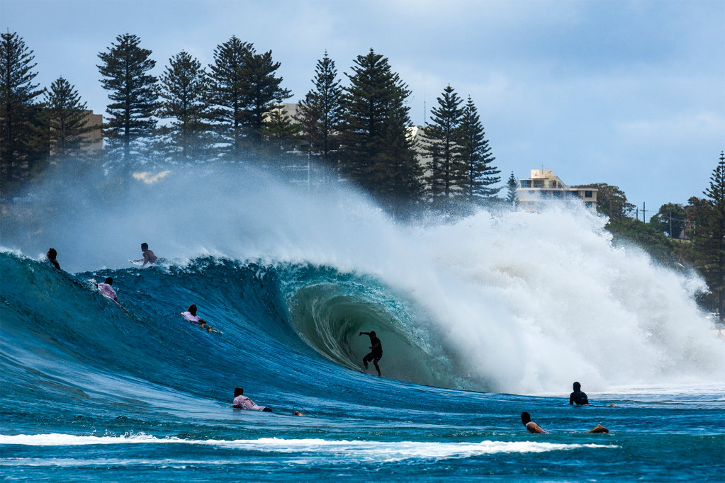 10 Best Swells of 2019