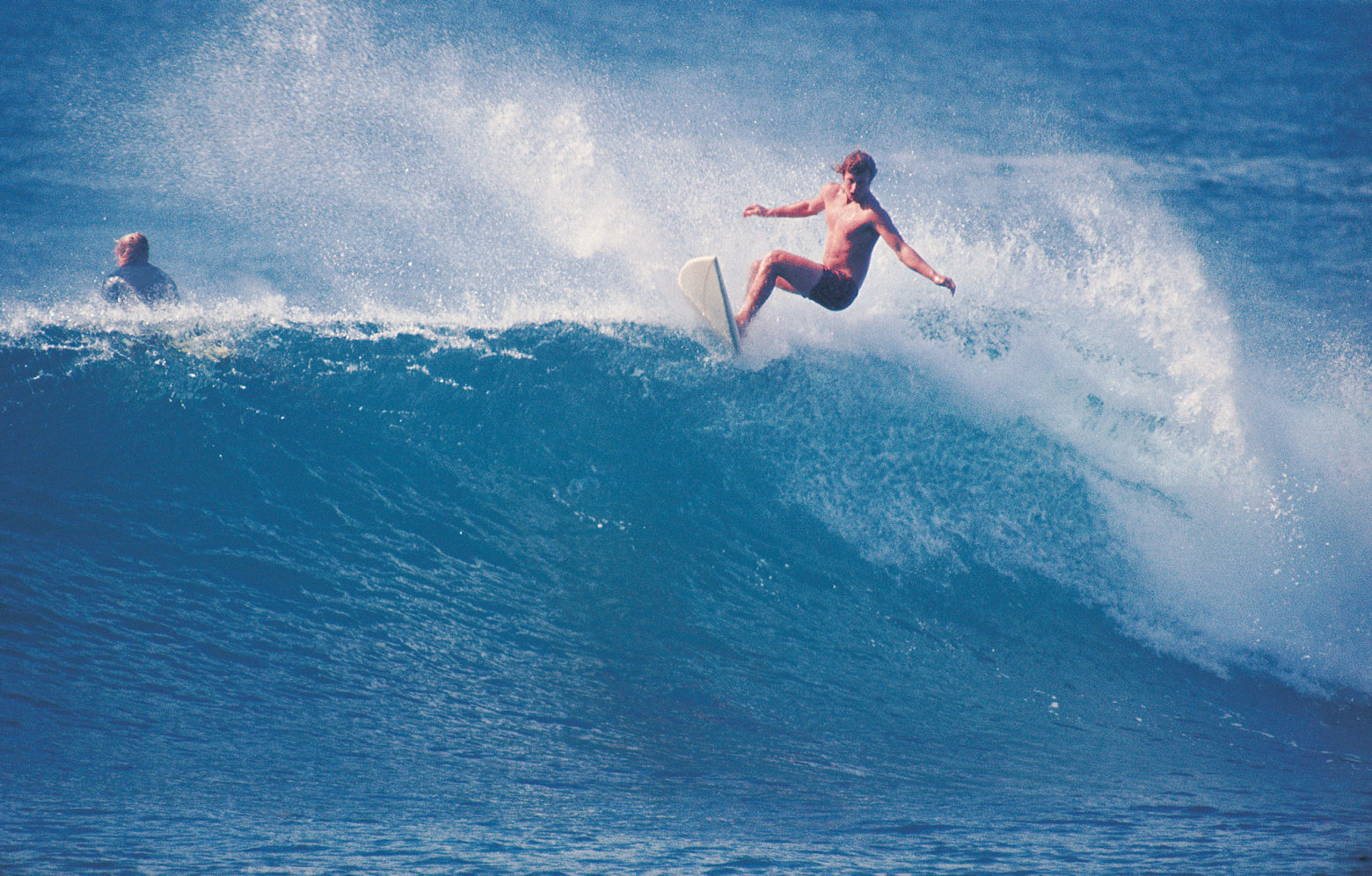 RIP: David "Baddy" Treloar (1951-2019)