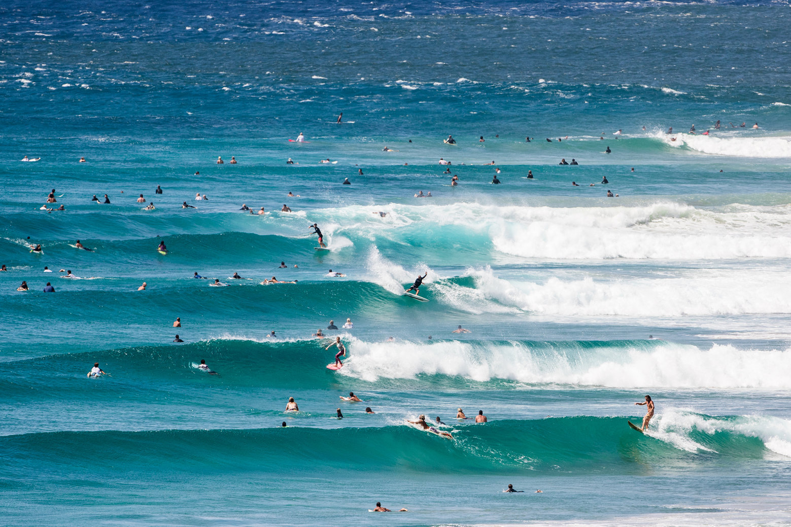 Spot Check: Snapper Rocks