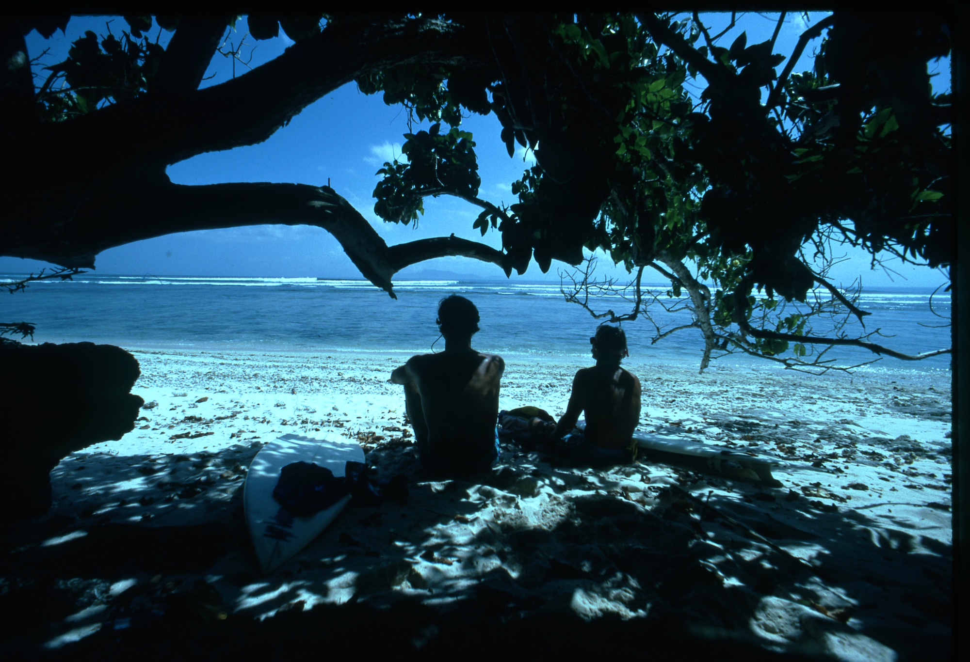 Discovering Grajagan: the world's first surf camp