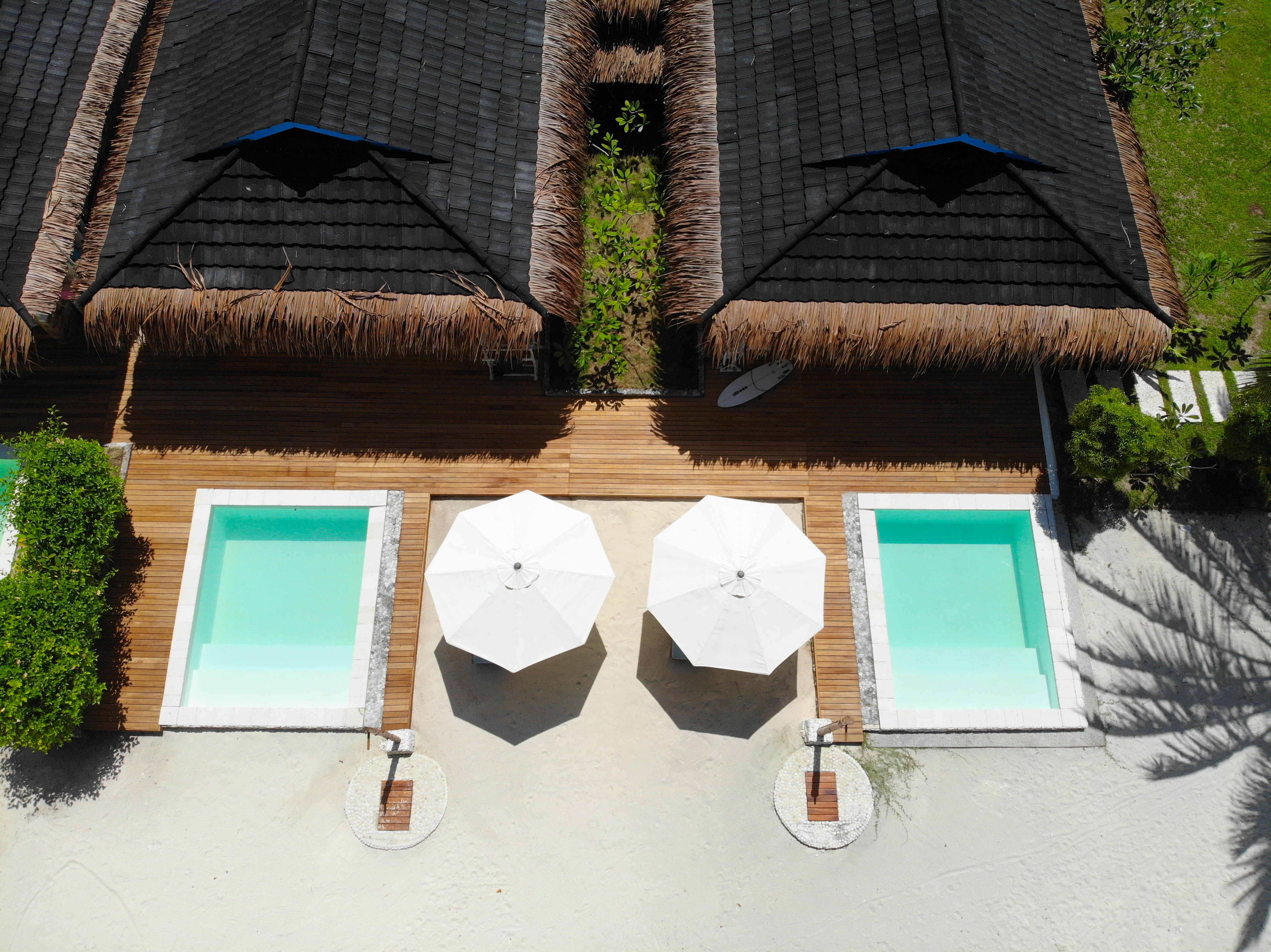 Resort Guide: Hollow Tree's Resort