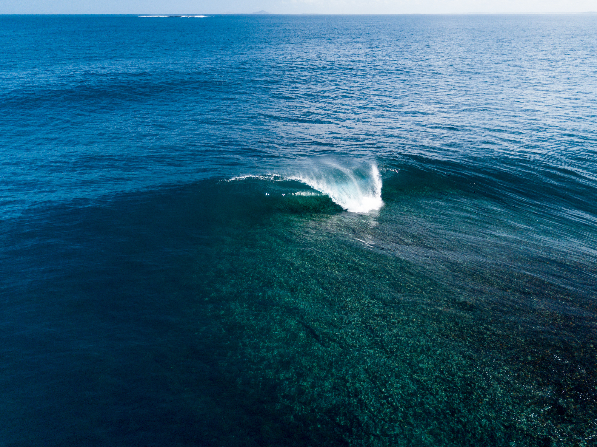 Slabs: Surf News, Videos & Photos at Surfline