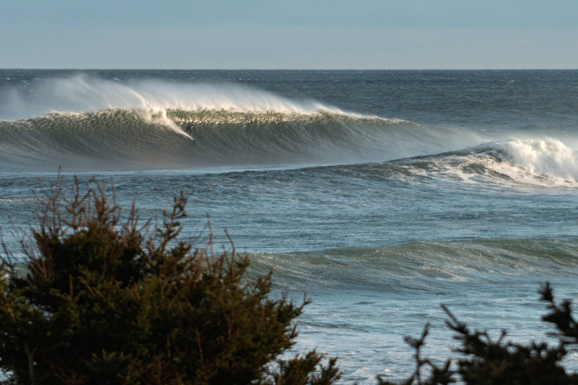 Spring's Totally a Thing Back East