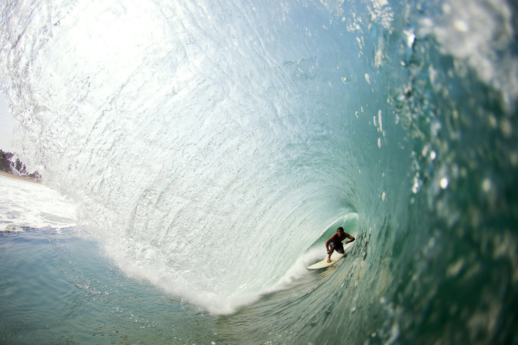 South Pacific Goes Bananas: A Celebration