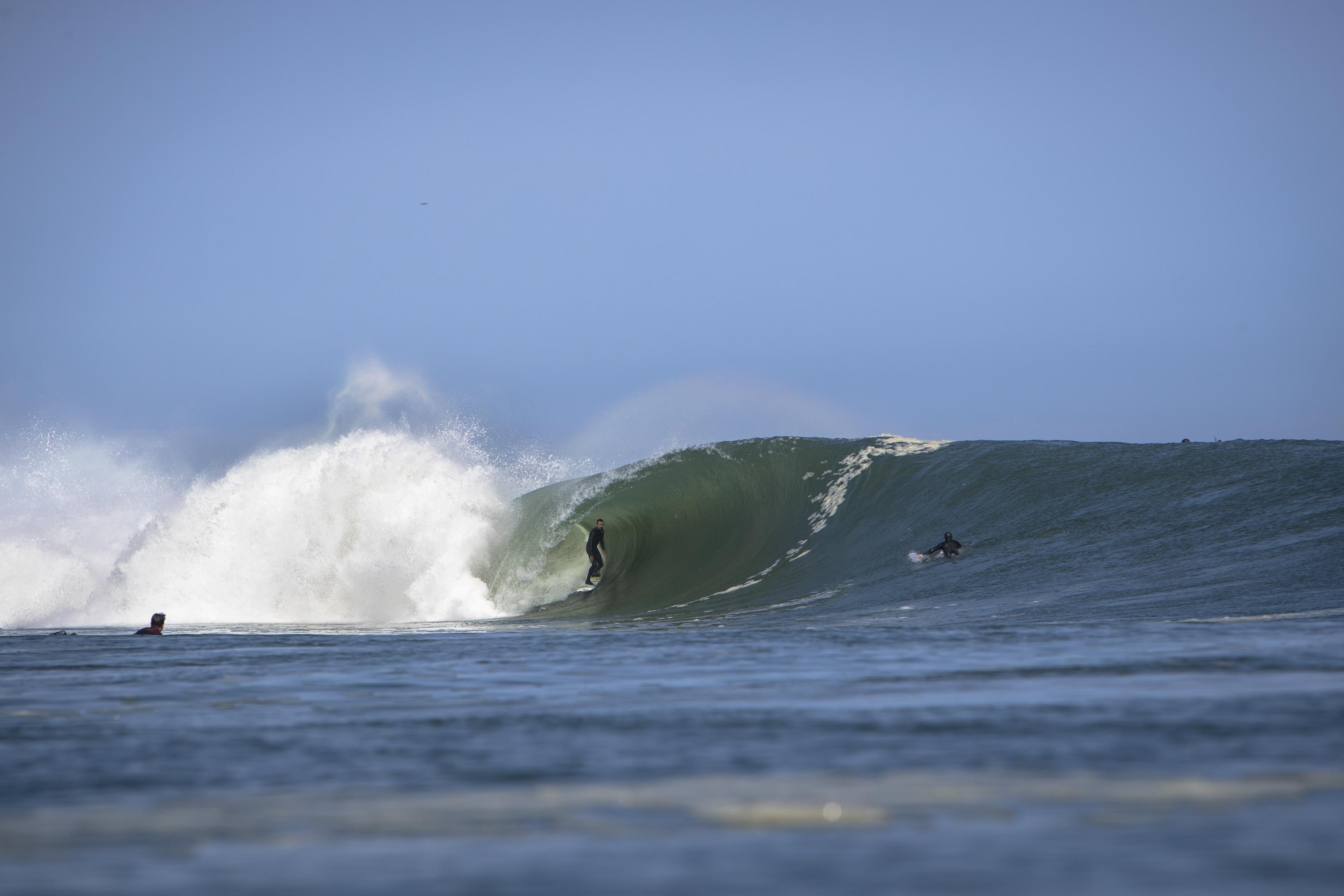 Skeleton Bay Is Officially Back -- and Heavier Than Ever