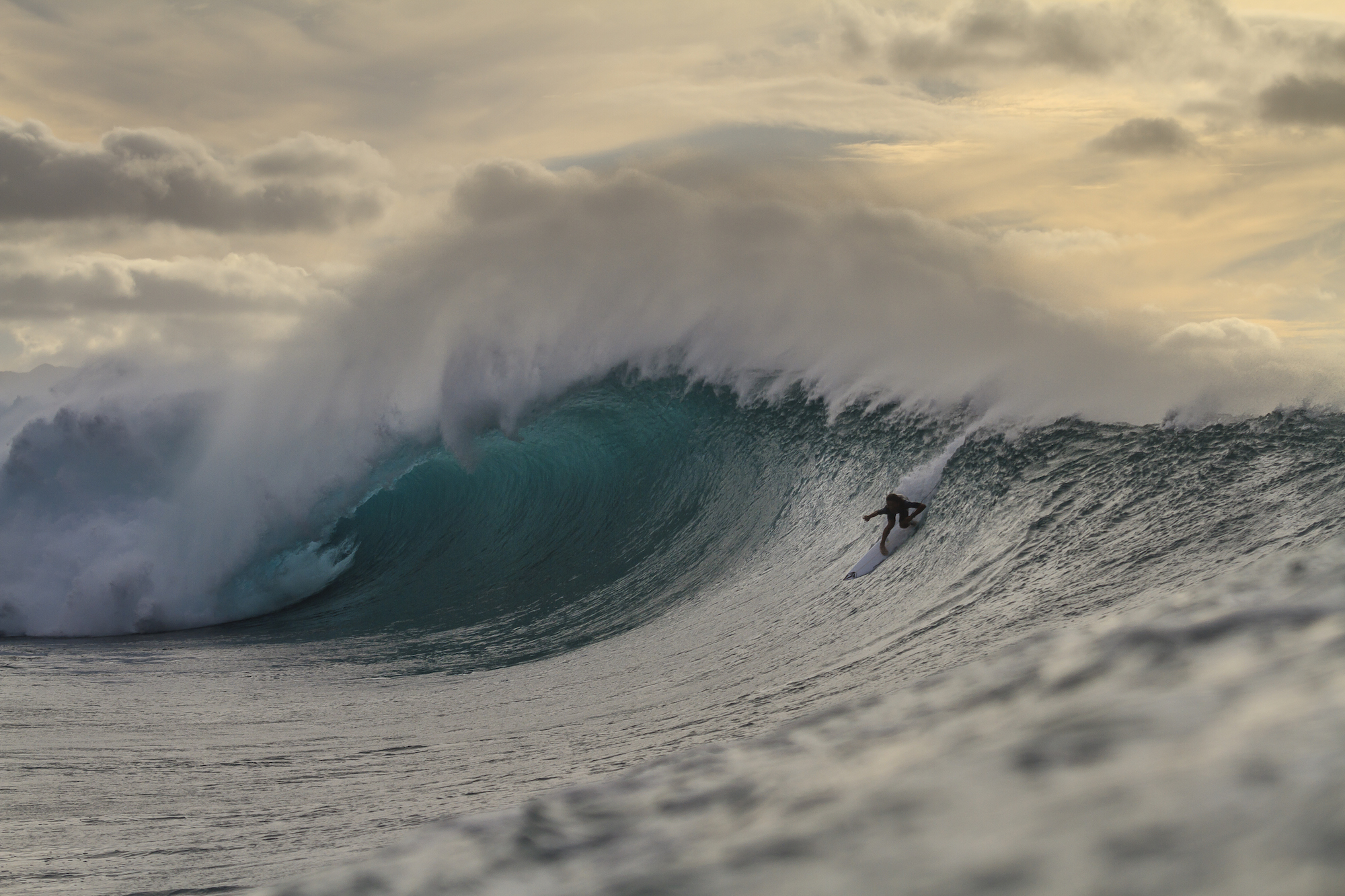Ask an Expert: Which Fins Work Best? (Part II)