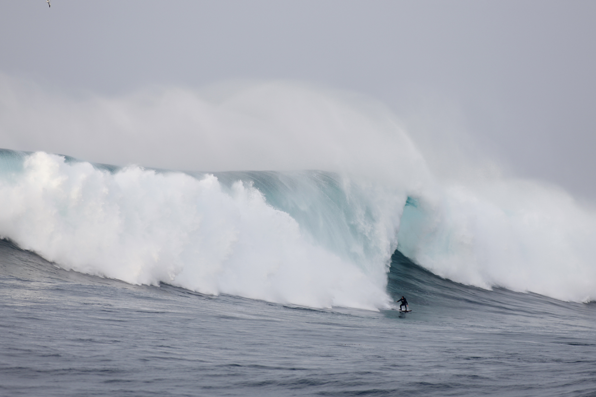 Has the 100-Foot Wave Already Been Seen?