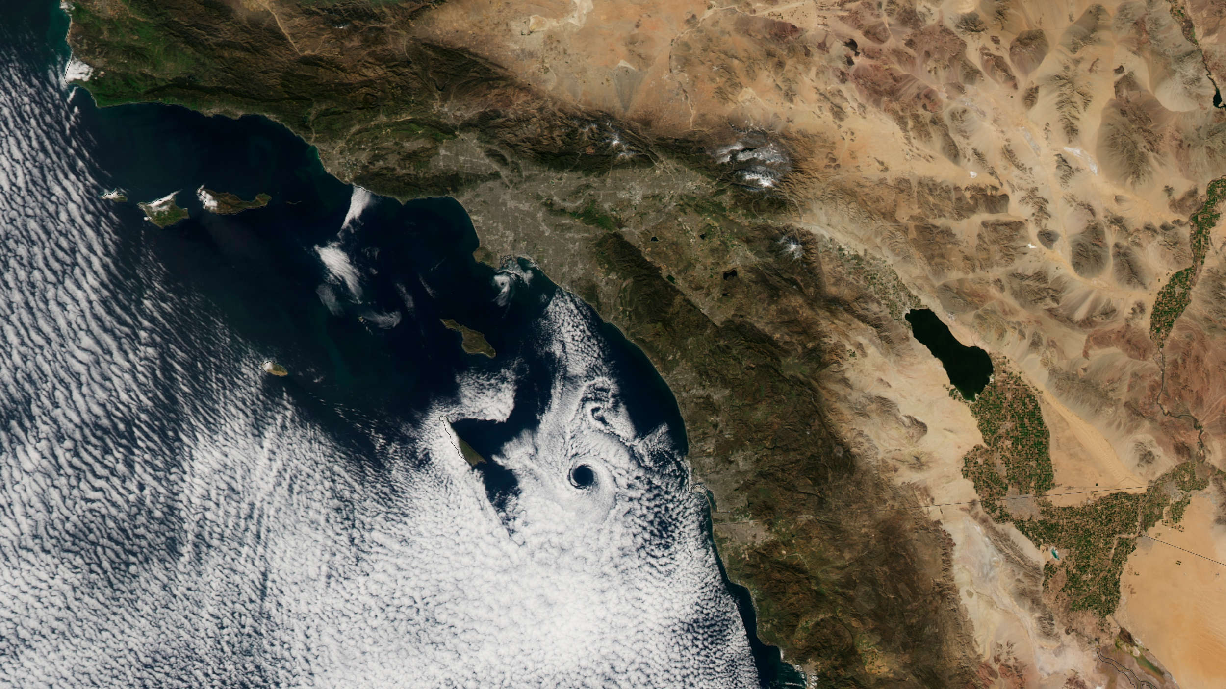 Eddy Don't Go: Understanding Catalina Eddy Winds