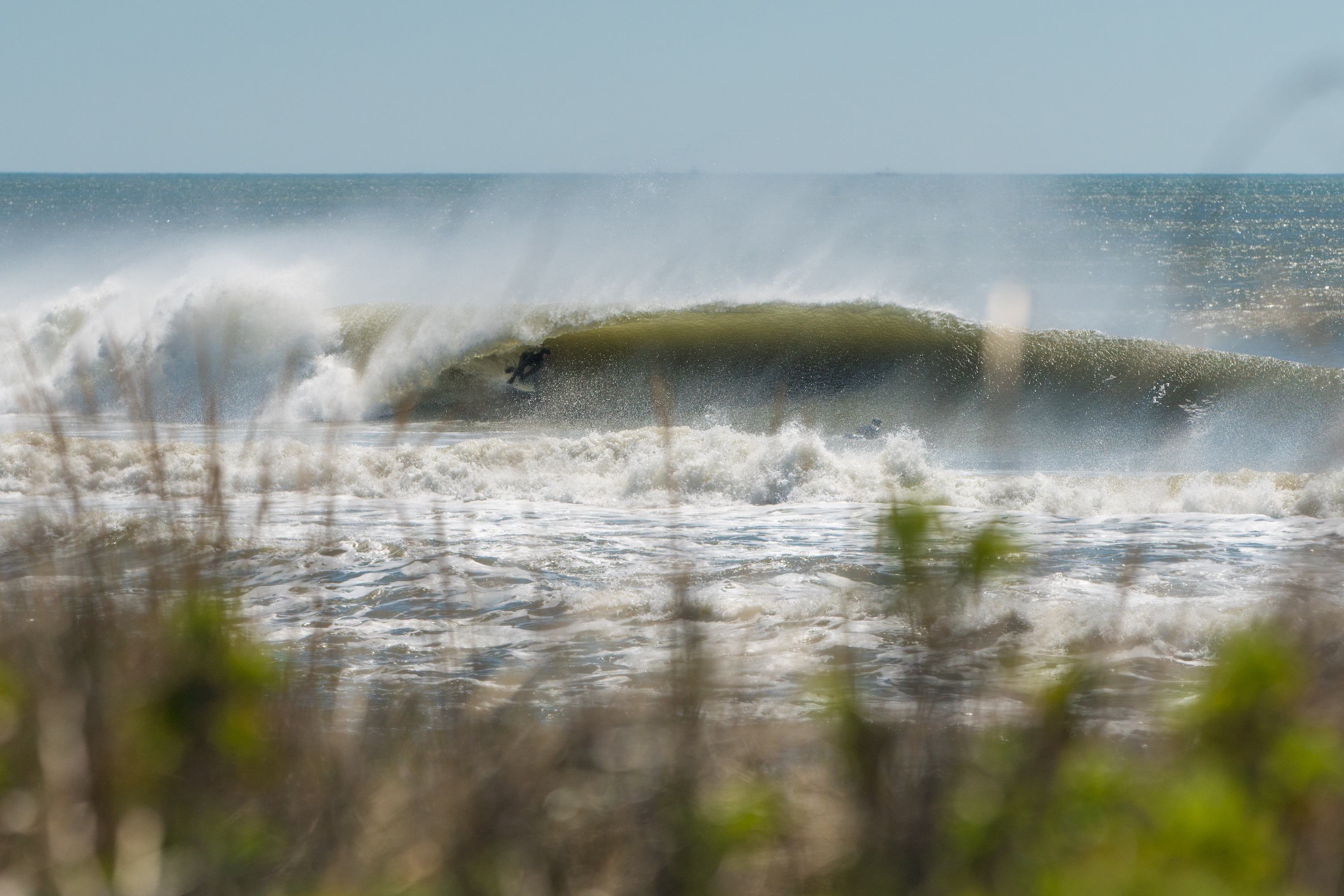 April Surf Blossomed on the East Coast