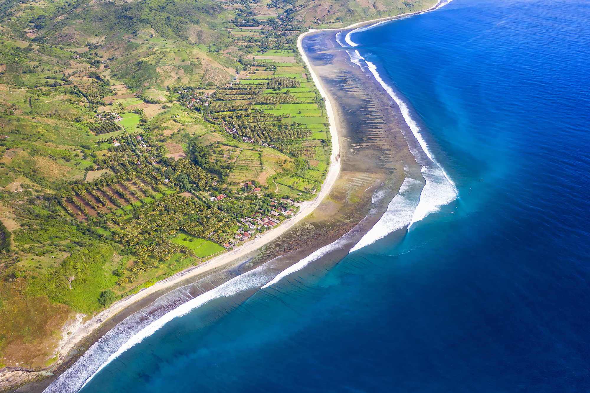 Director Interview: "Secrets of Desert Point"