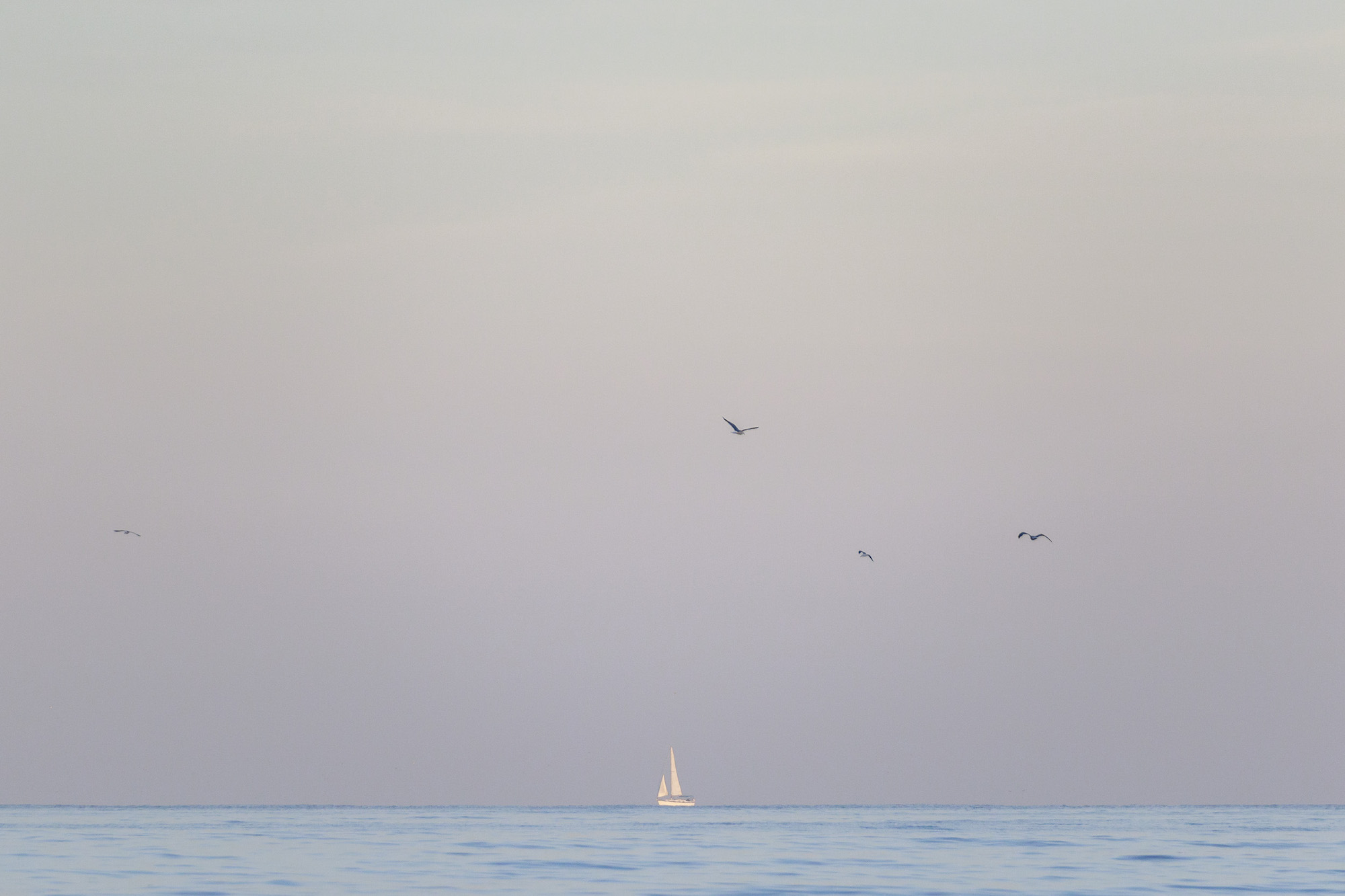 What happened during Mark Foo's final moments?