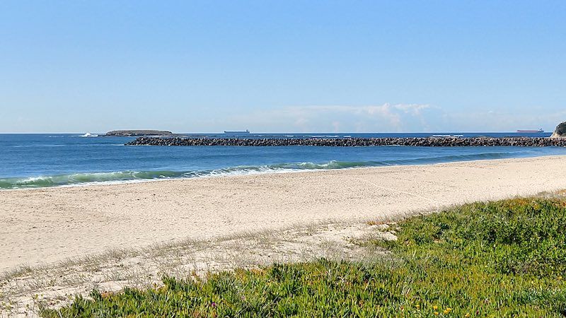 Nick Carroll: The Breakwall Dilemma