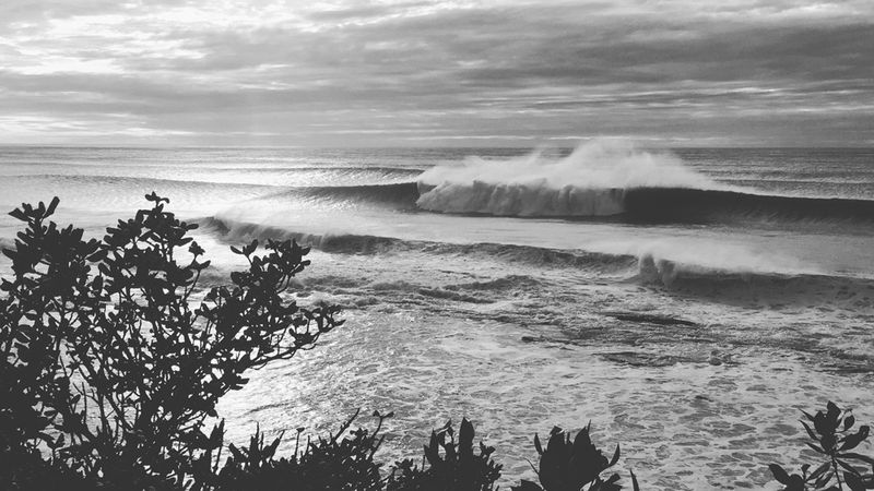 Magnificent Monday 6th June, 2016 NSW In Pictures