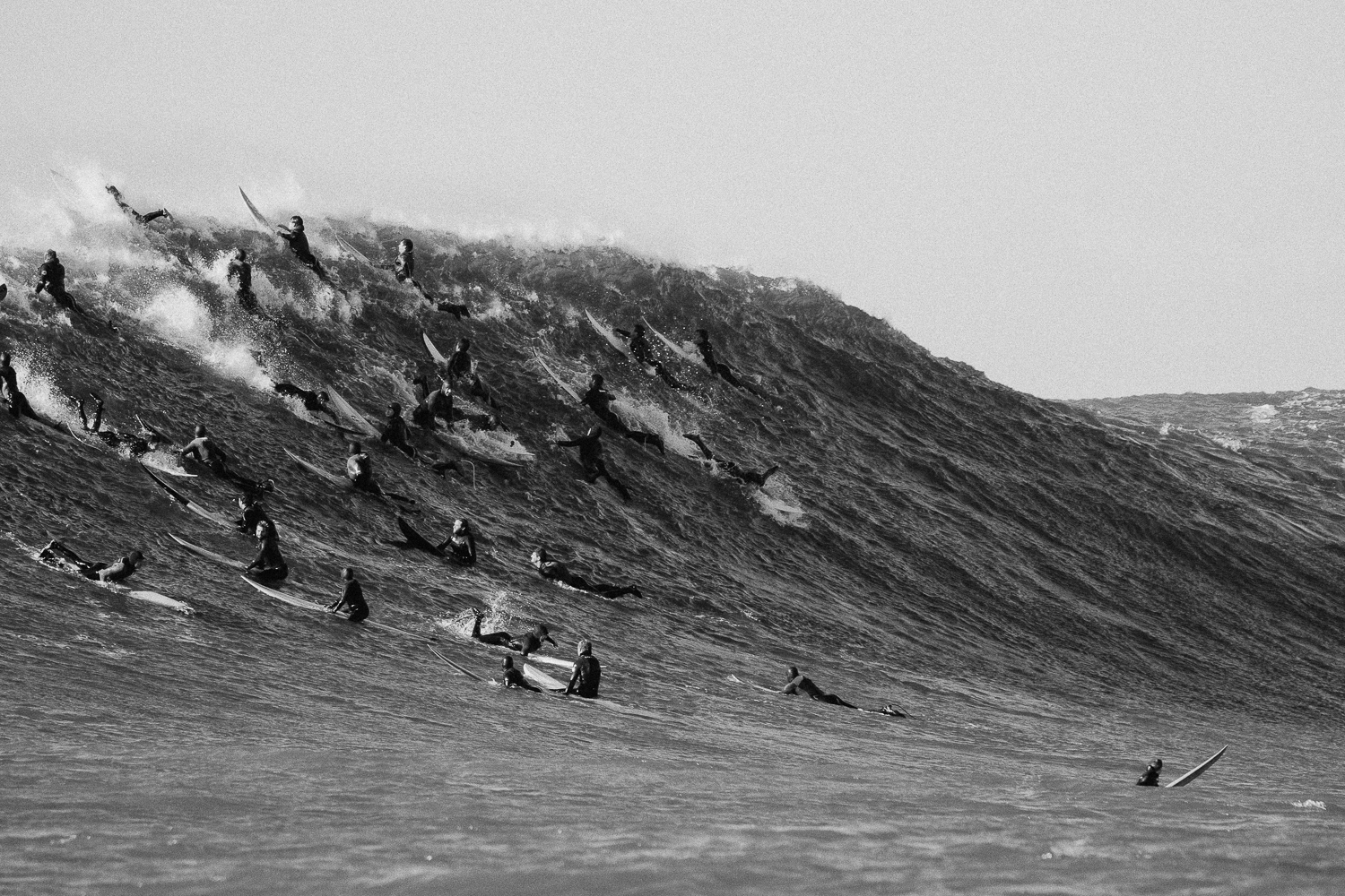 What’s a Big-Wave Surfer to Do This Season?