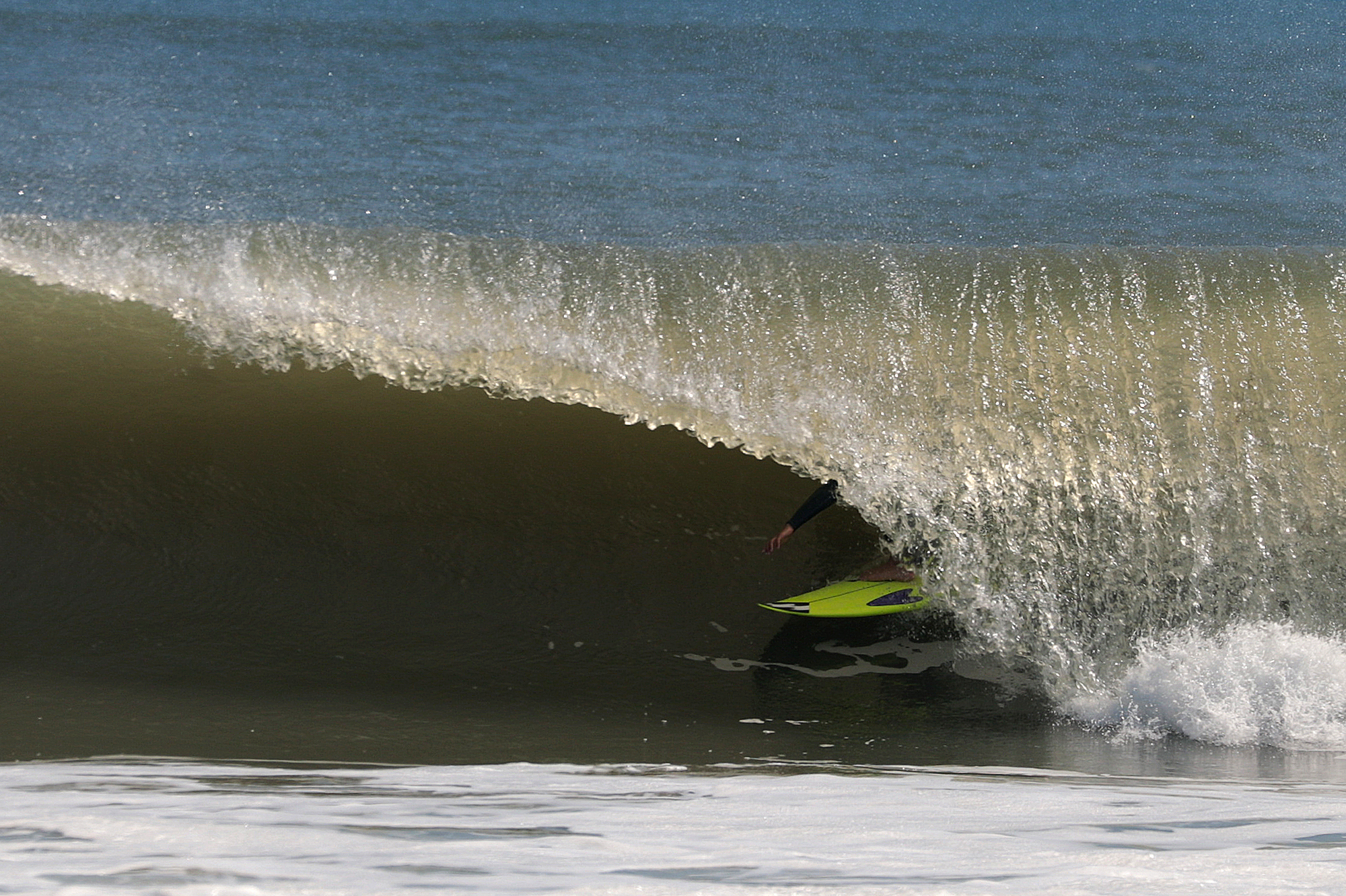 Rising Stars: Cruz Dinofa