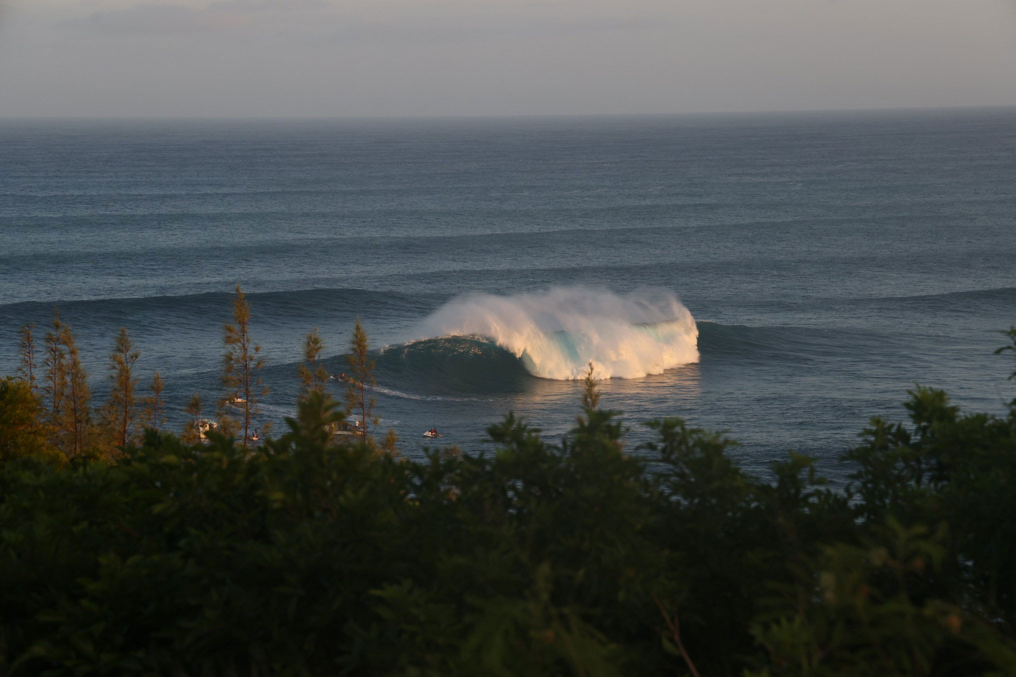 Super Swell Highlights