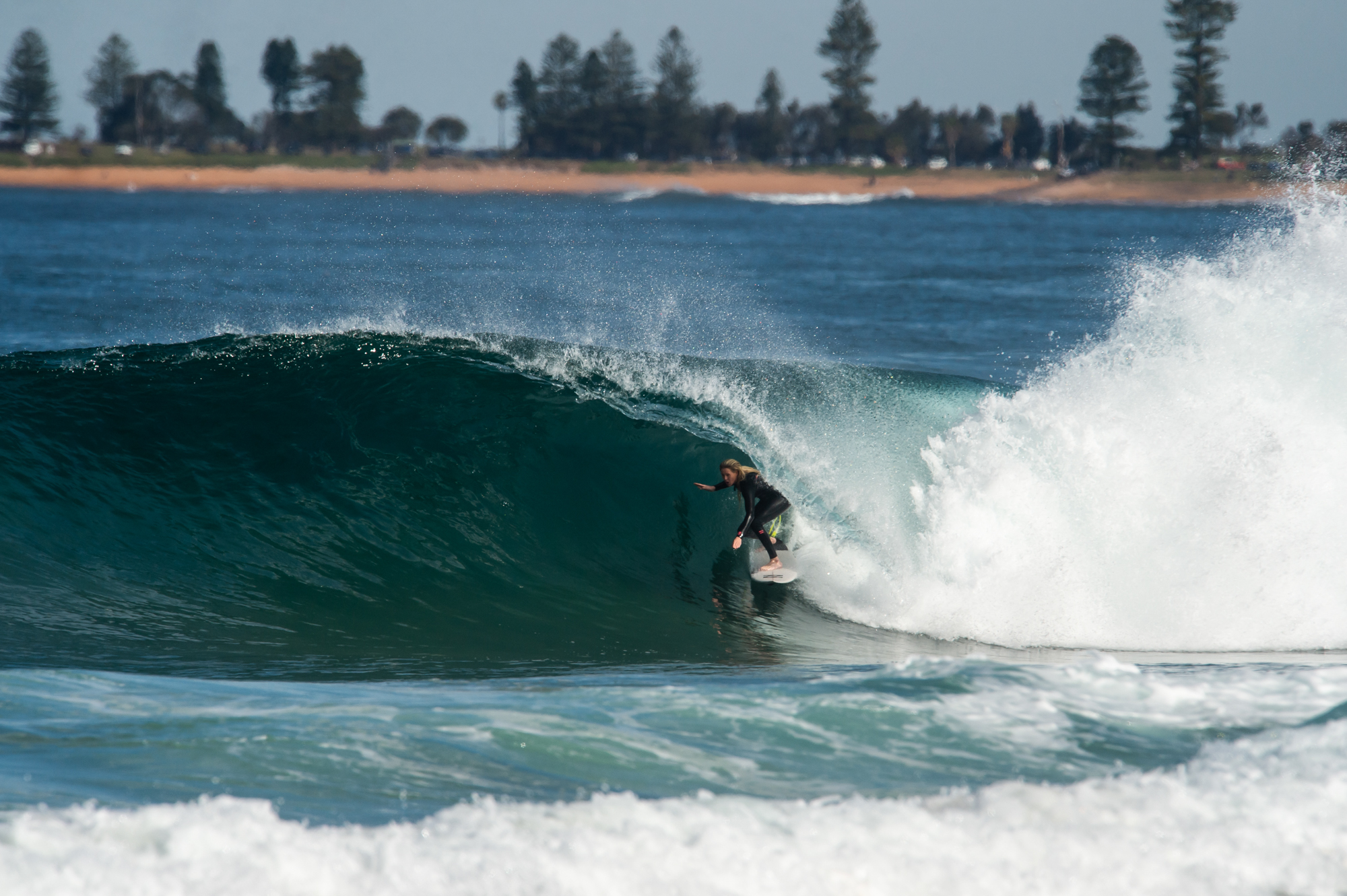 Gallery: Southern Stars