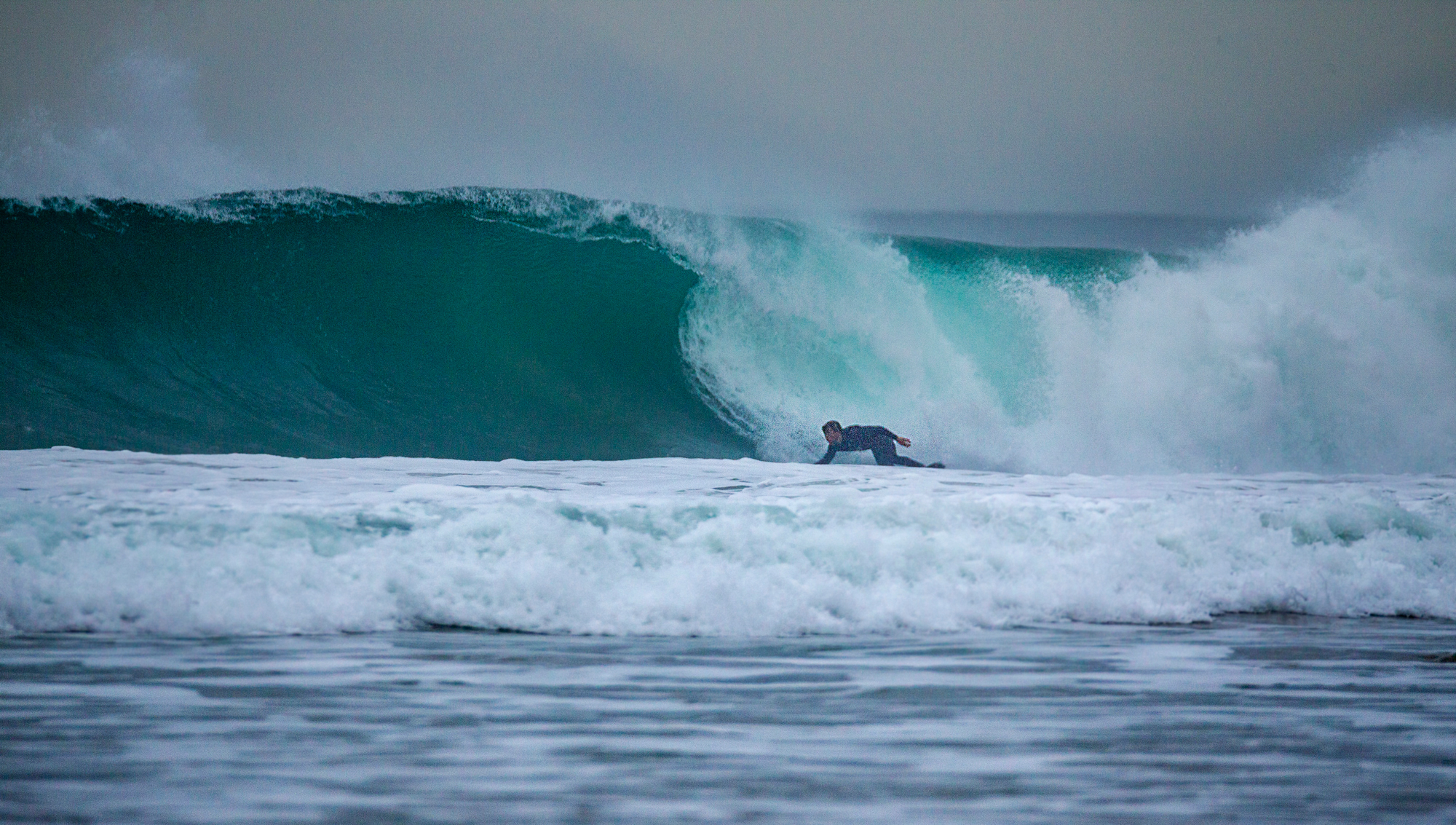 SW England Goes Bananas