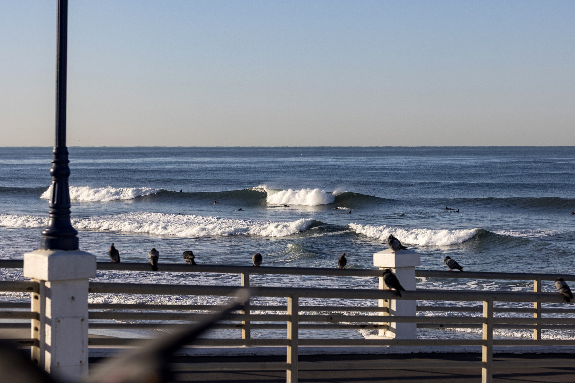 Gallery: California Gold