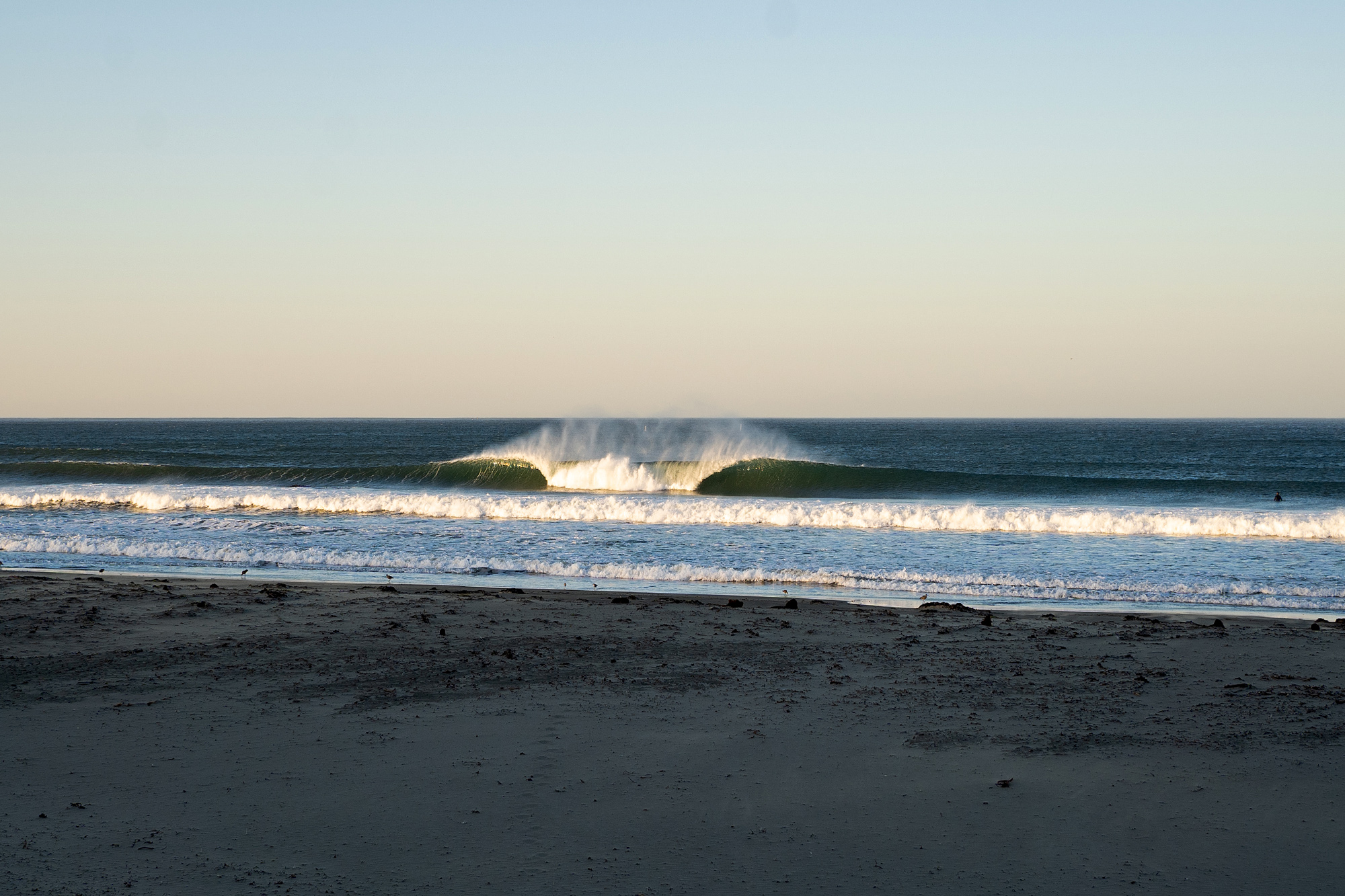 Gallery: California Gold