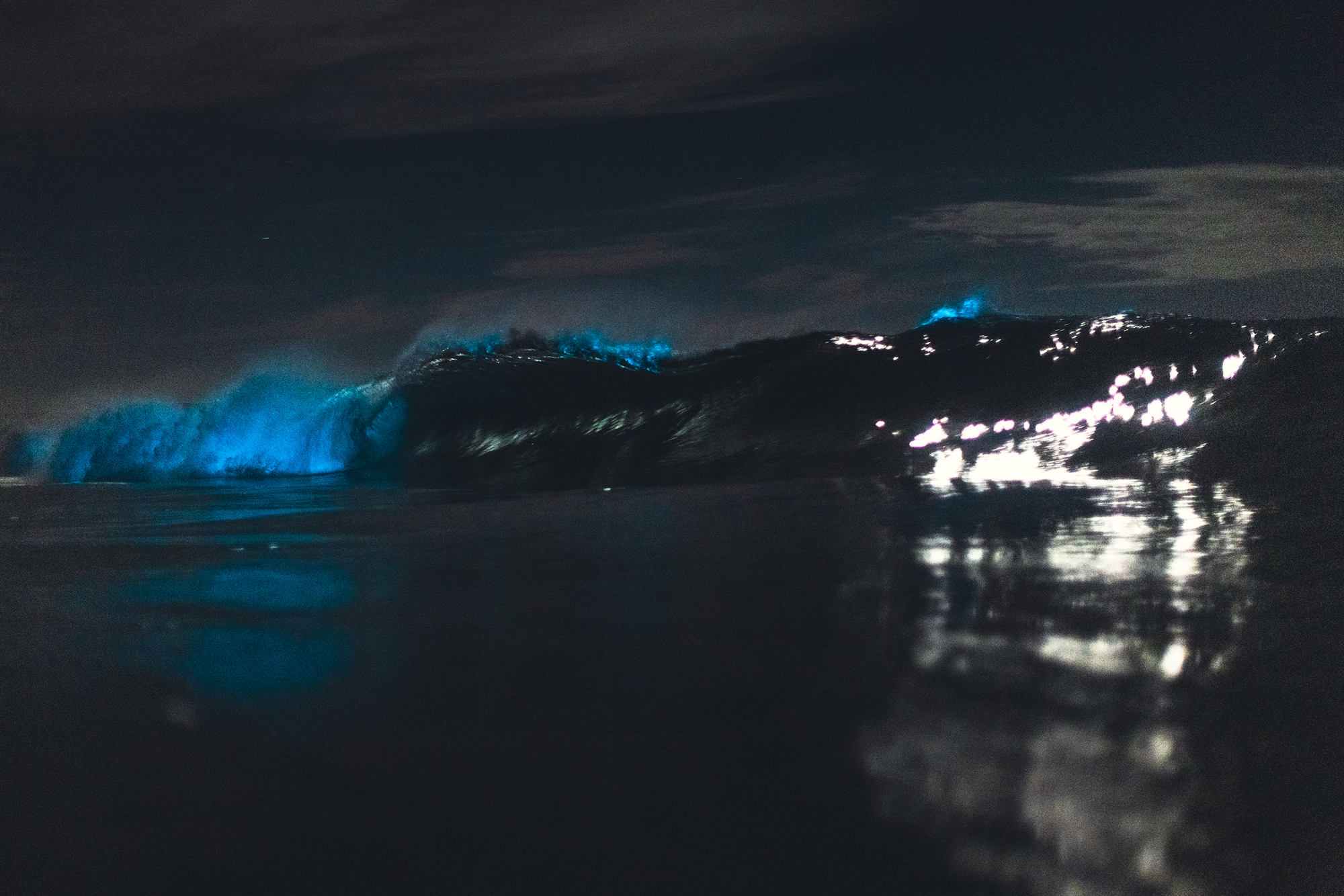 When The Ocean Lights Up