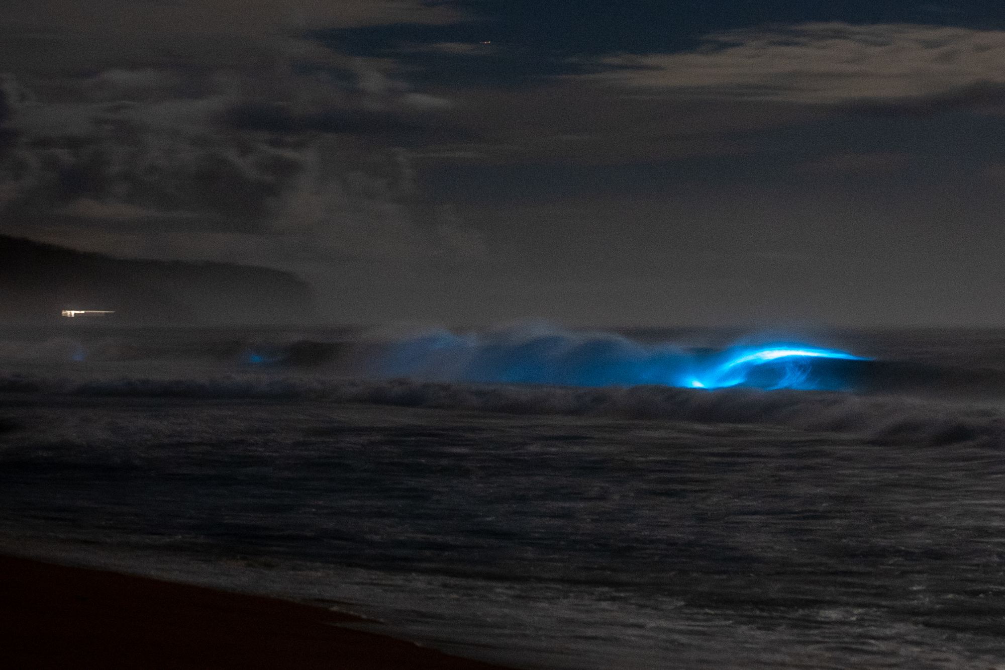 When The Ocean Lights Up