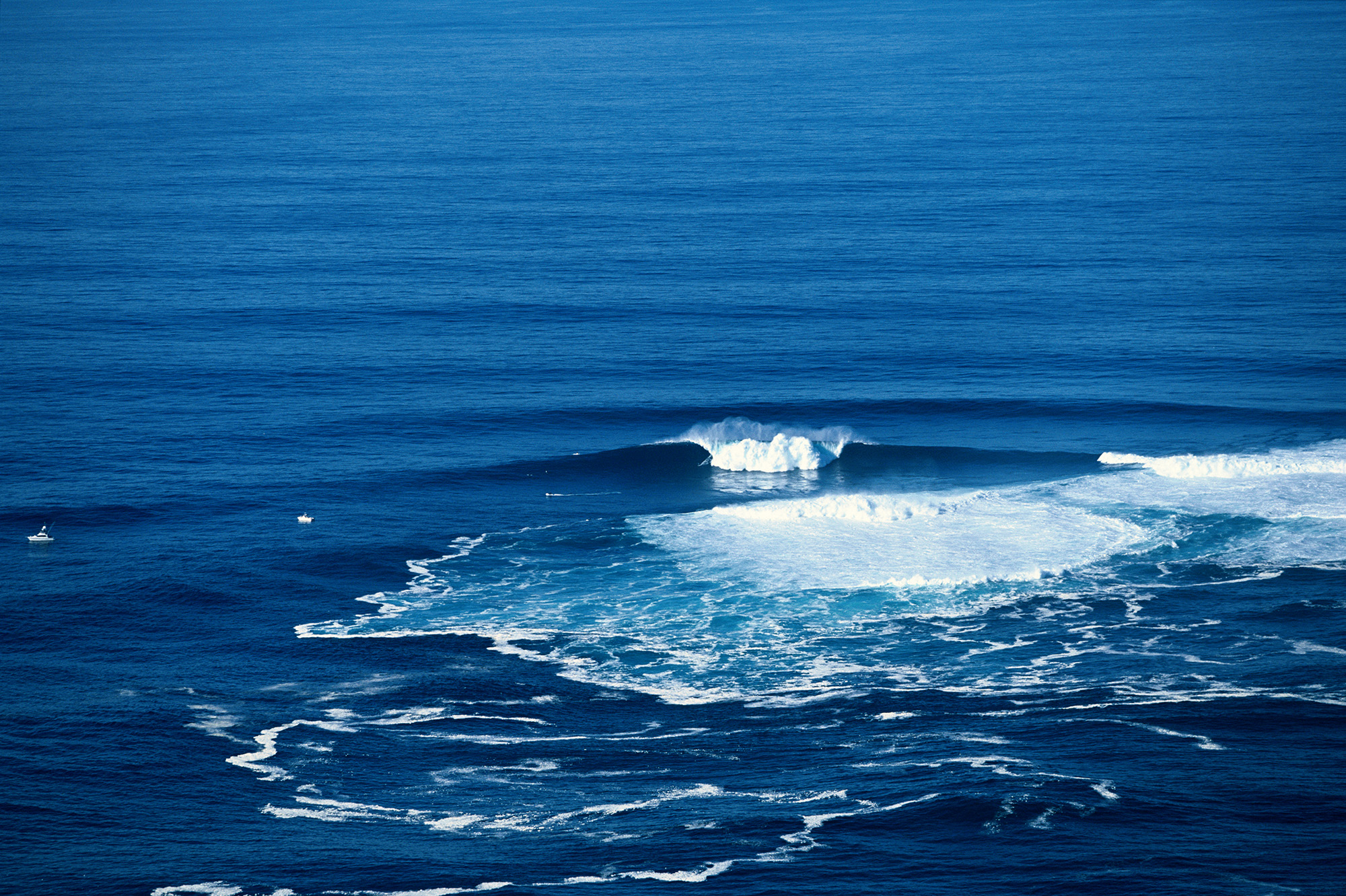 This Is Twenty Foot Plus