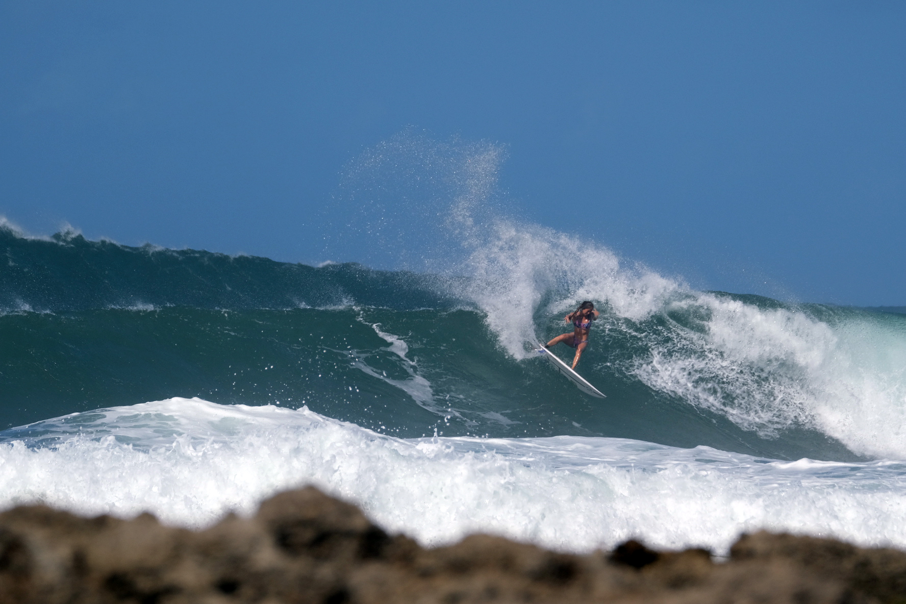 Gallery: North Shore Stuffing