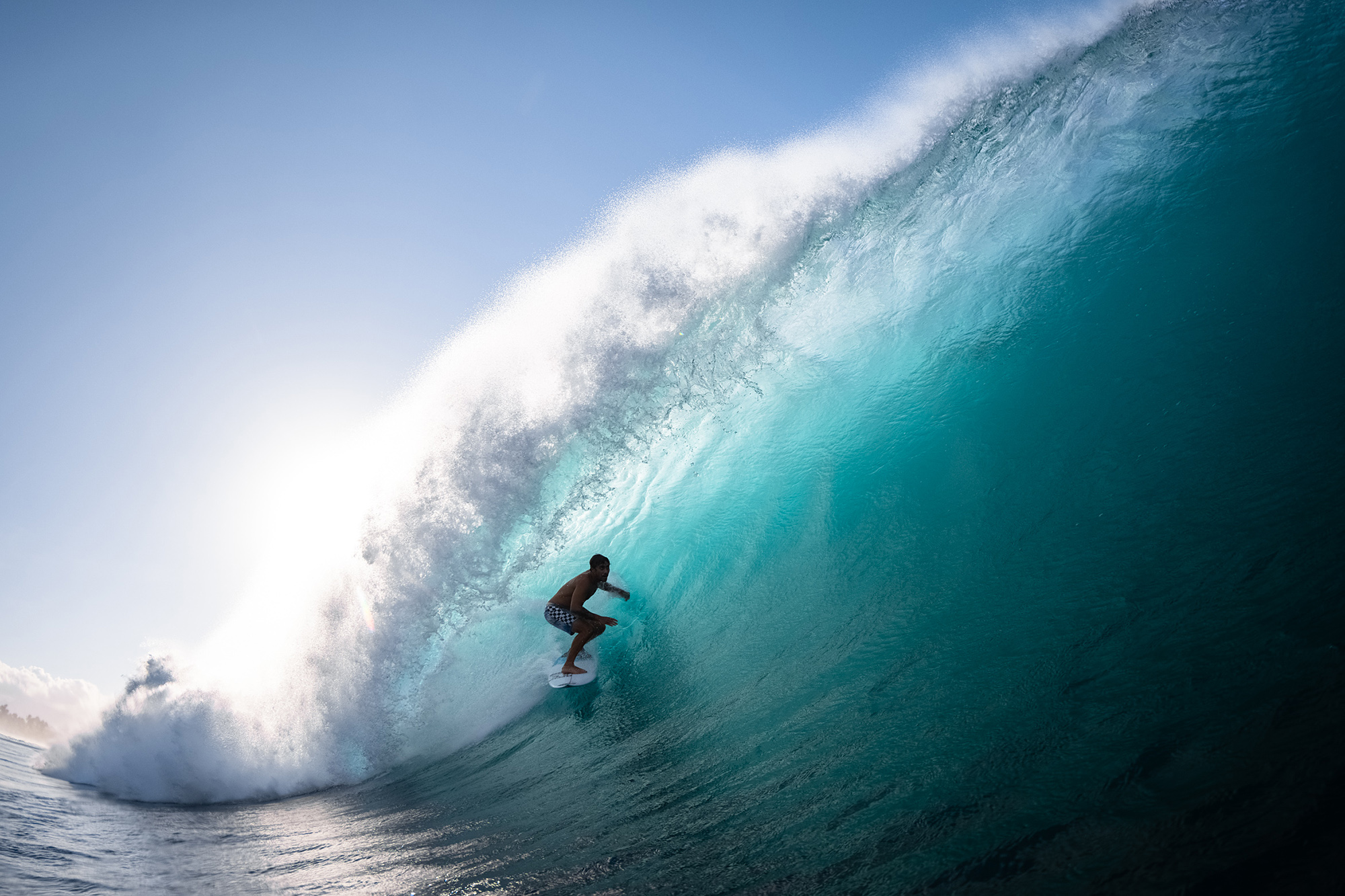 Gallery: North Shore Stuffing