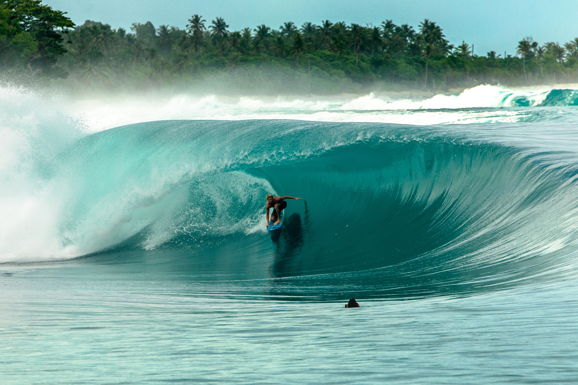 The Best Swells of 2021